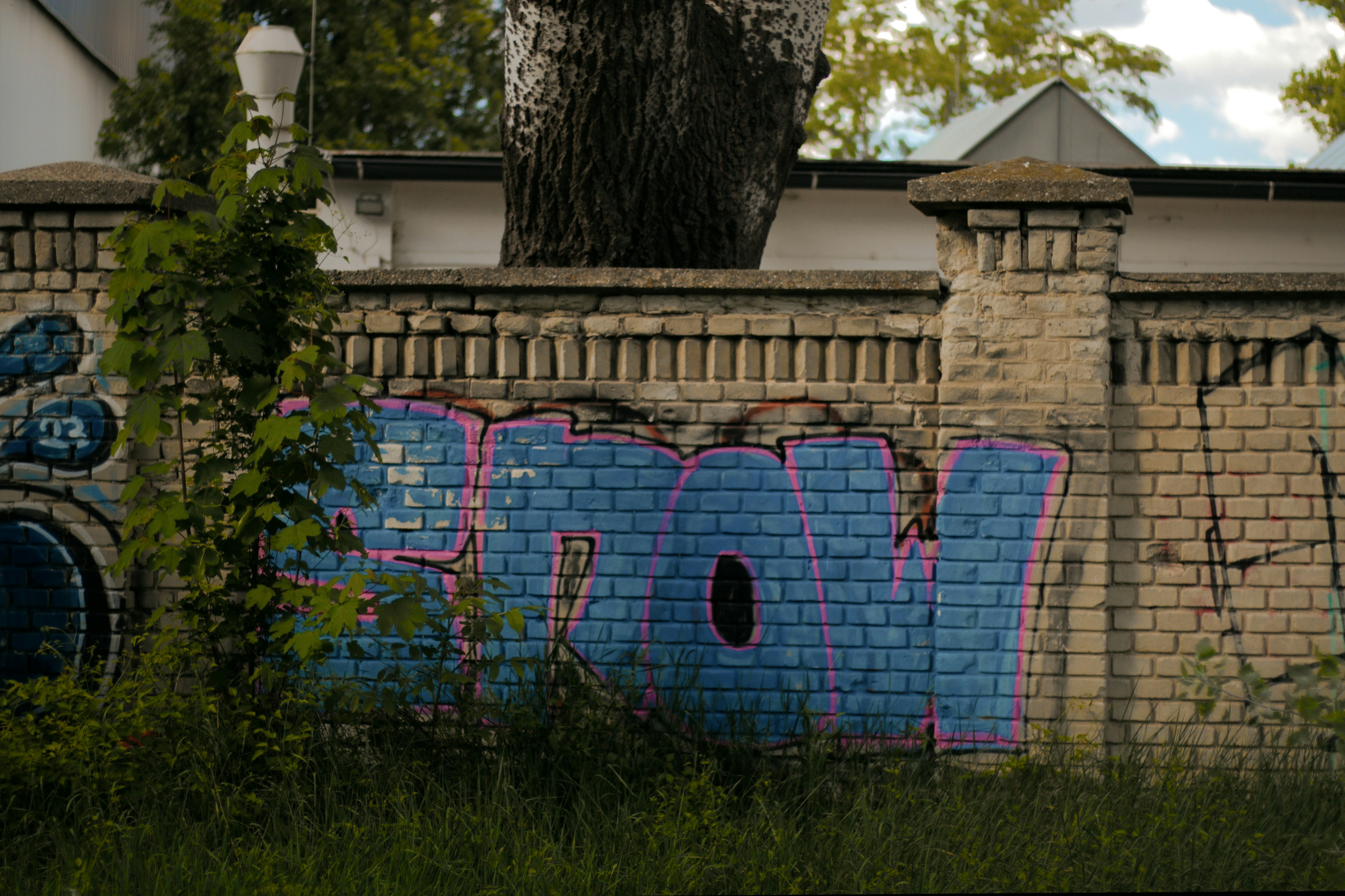 Graffiti Cascade: The Blue Tubes of a Sunlit Wall