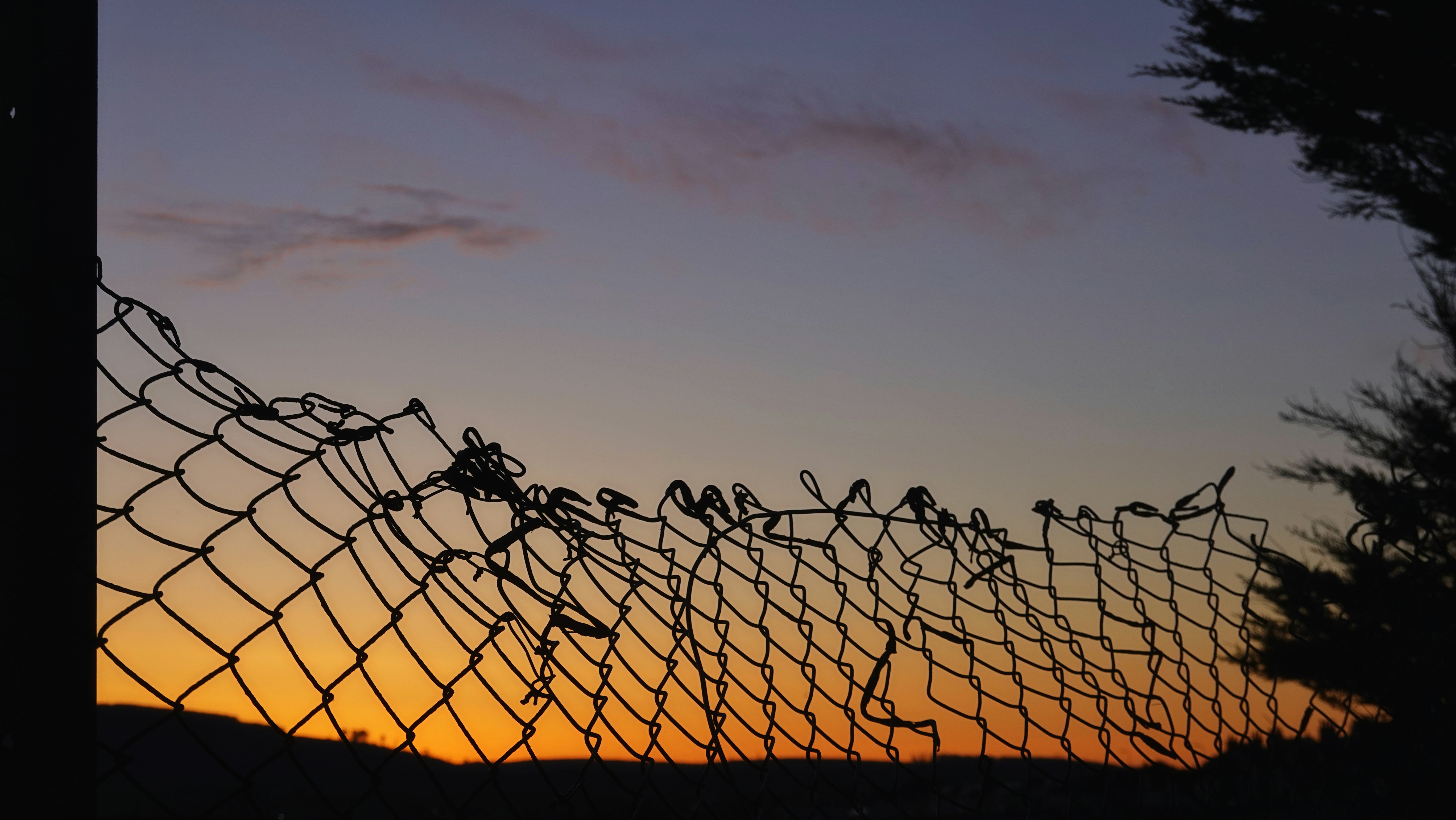 Silhouetted Chain-Link Twilight