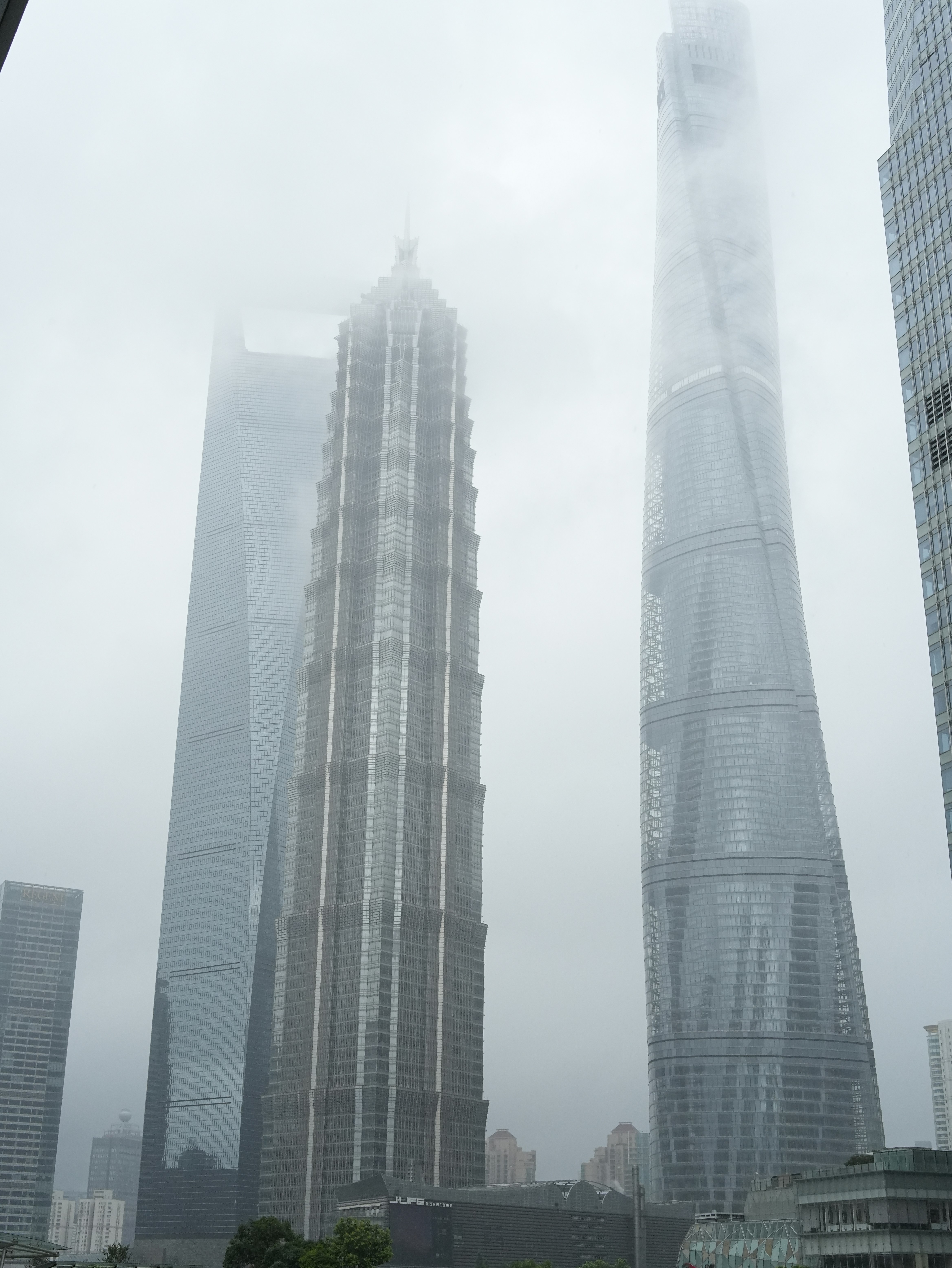 Mist-Soft Skyscrapers: A Fog-Softened Skyline Portrait