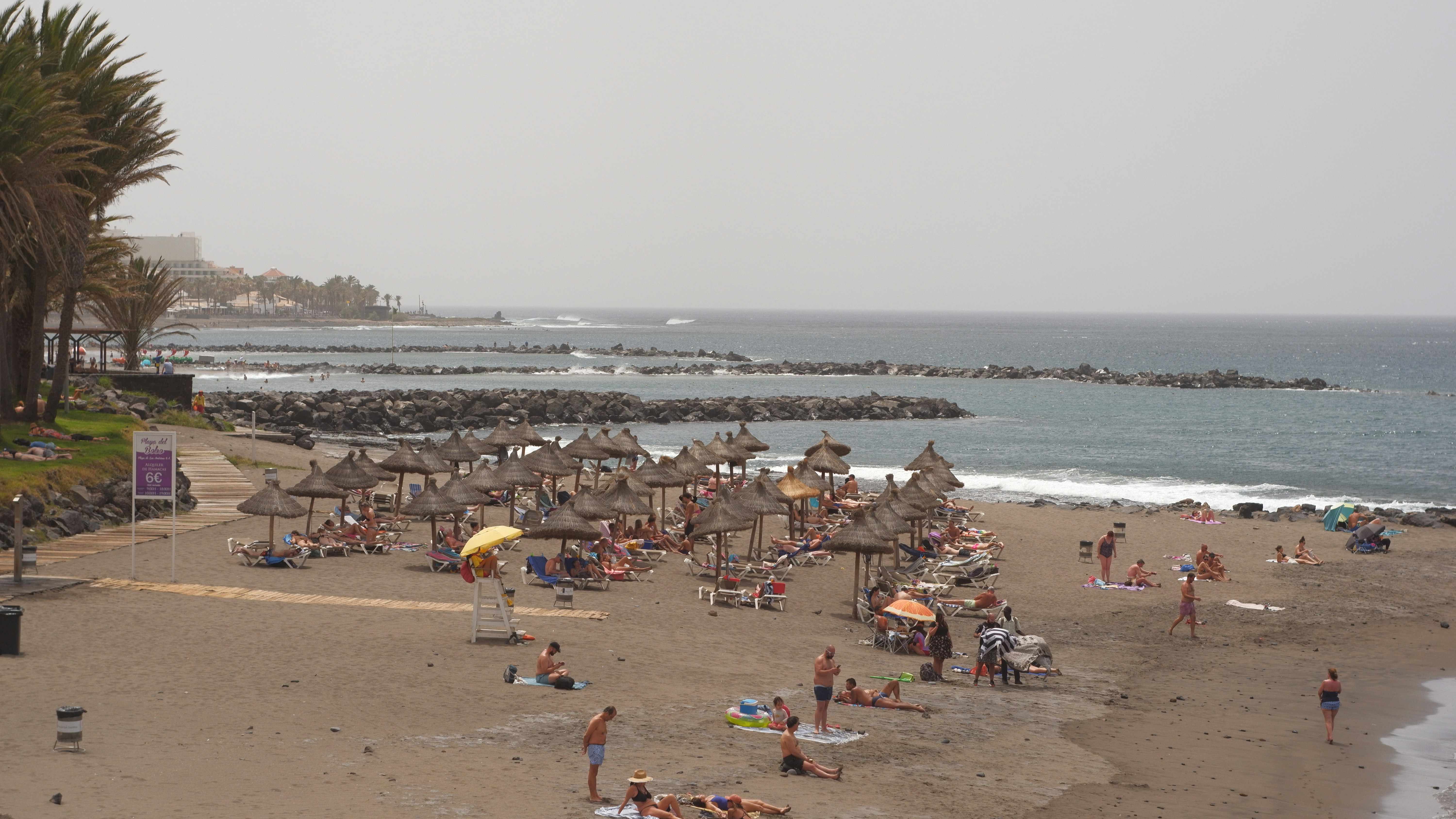 Beachside Lounge: Sunbathers, Palms, and Waves