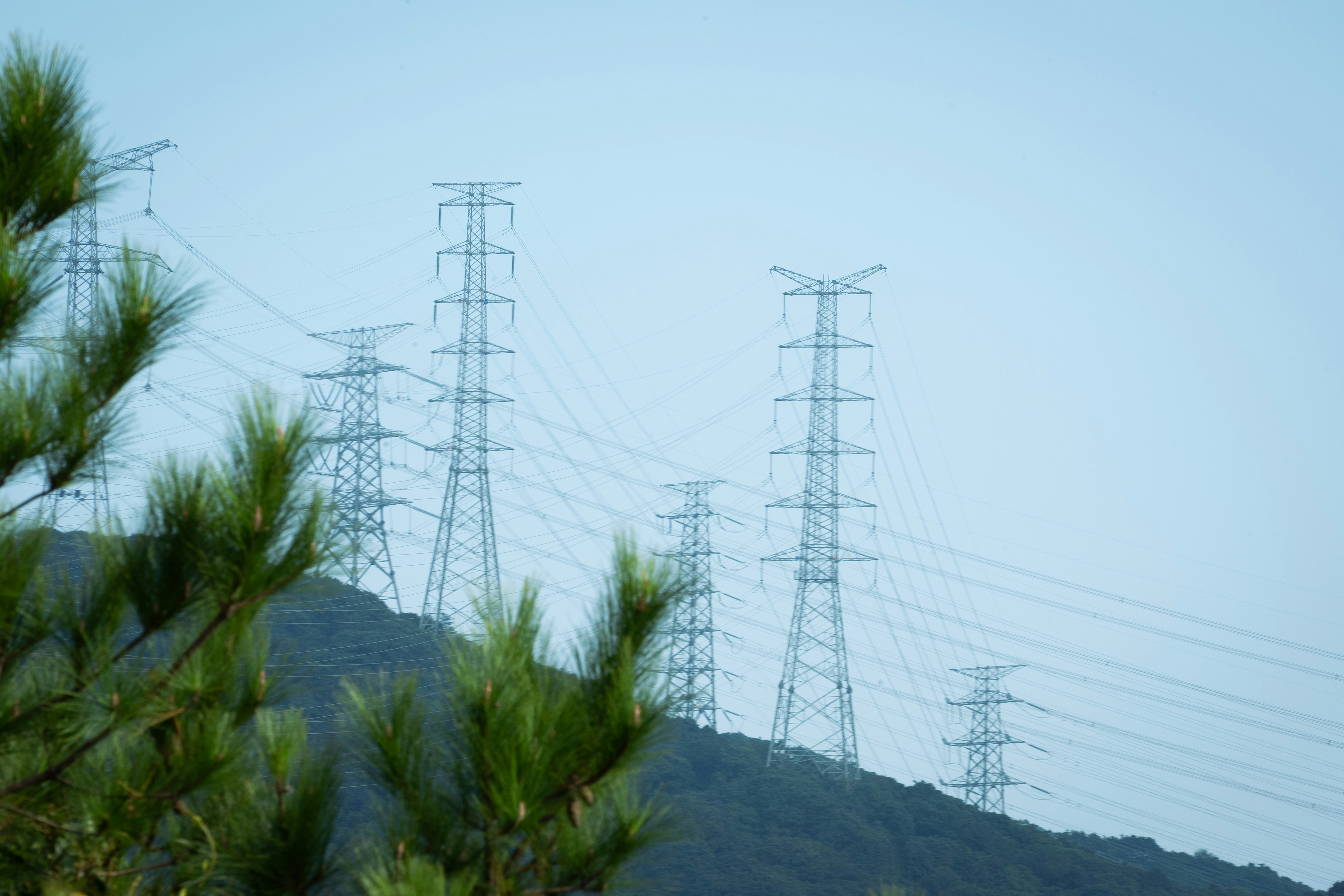 Electric Sentinels Above the Ridge