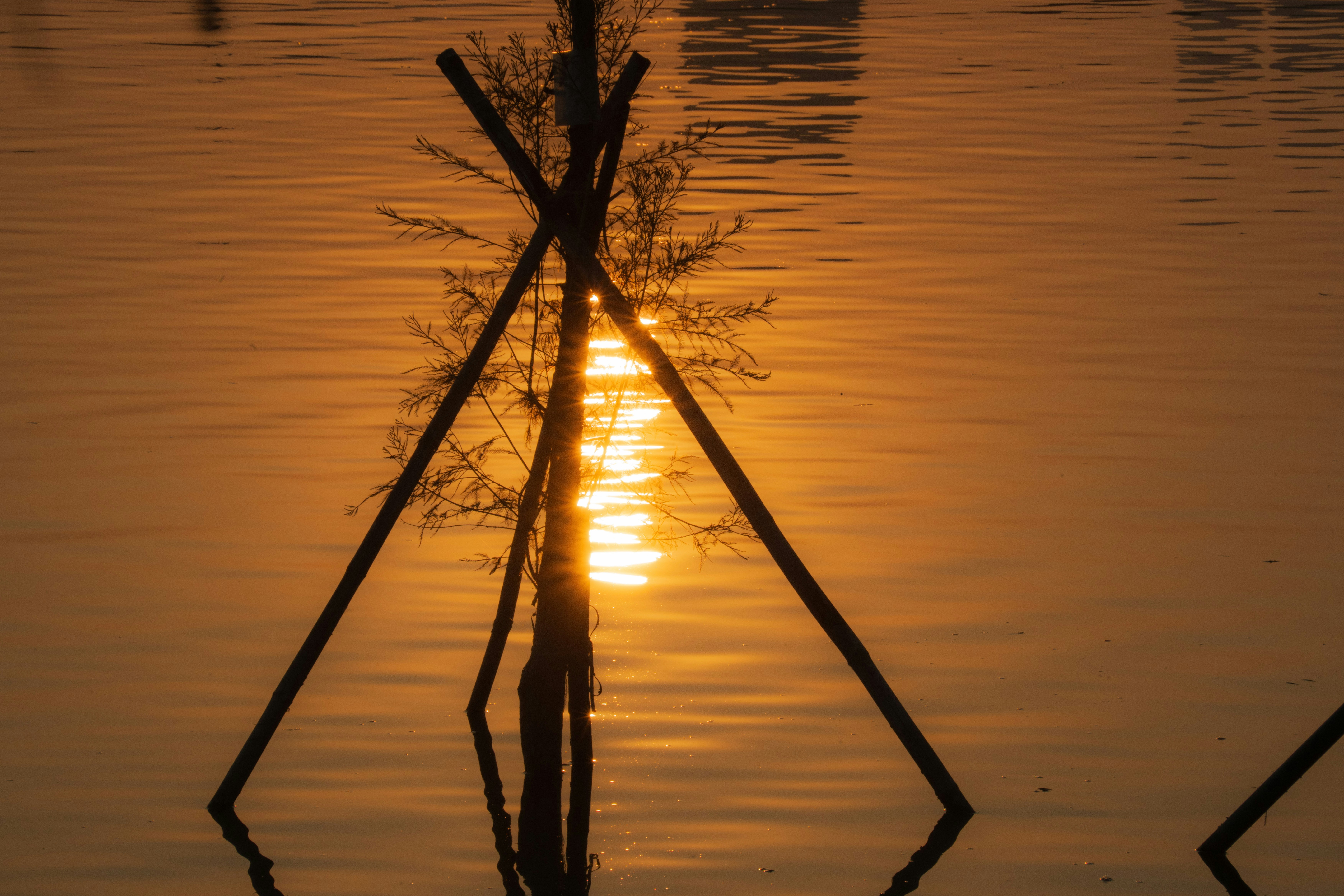Sunlit Truss: A Geometric Pinhole of Light on Quiet Water