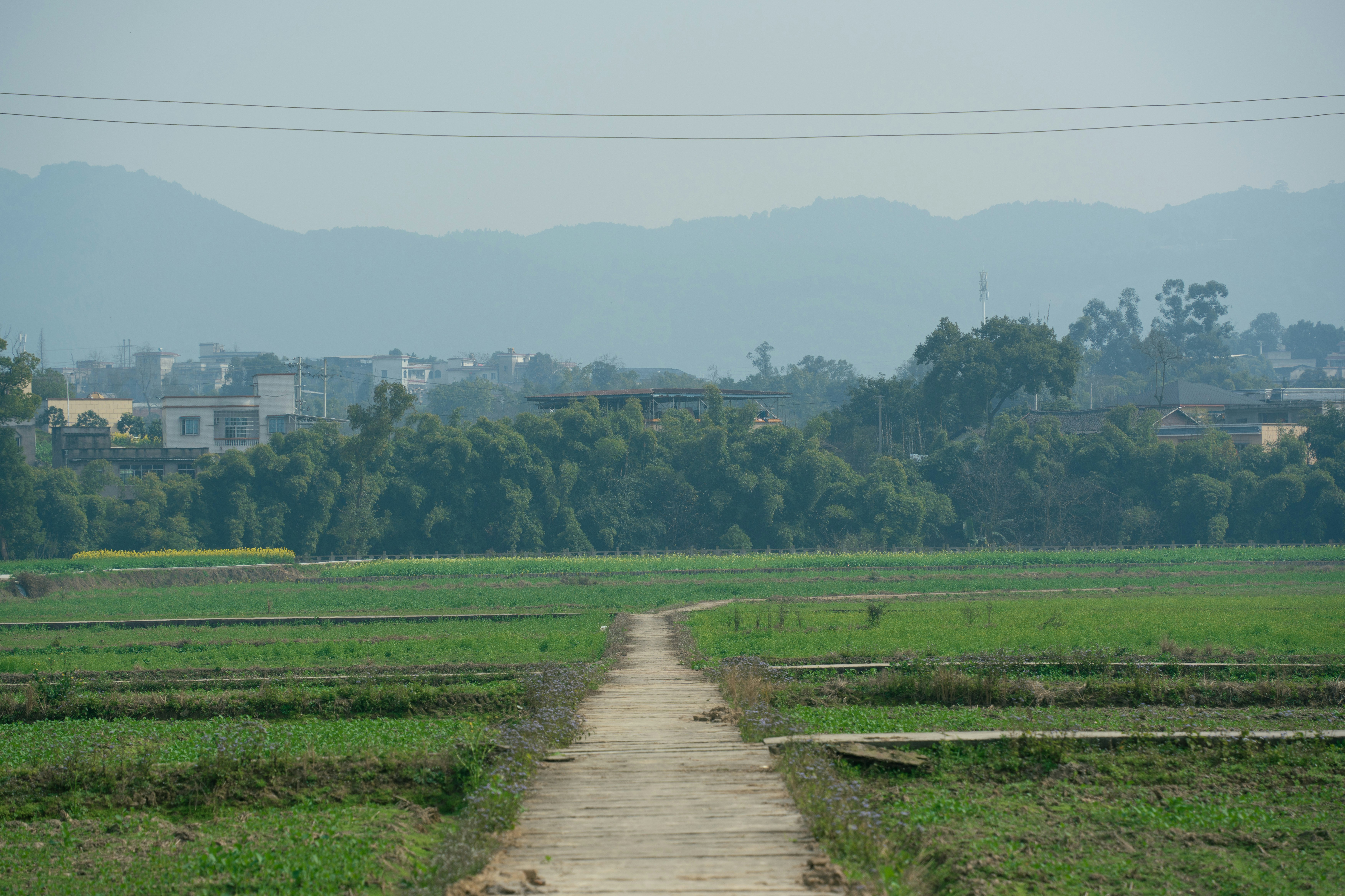 Long Path to the Village: A Quiet Field Under Distant Hills
