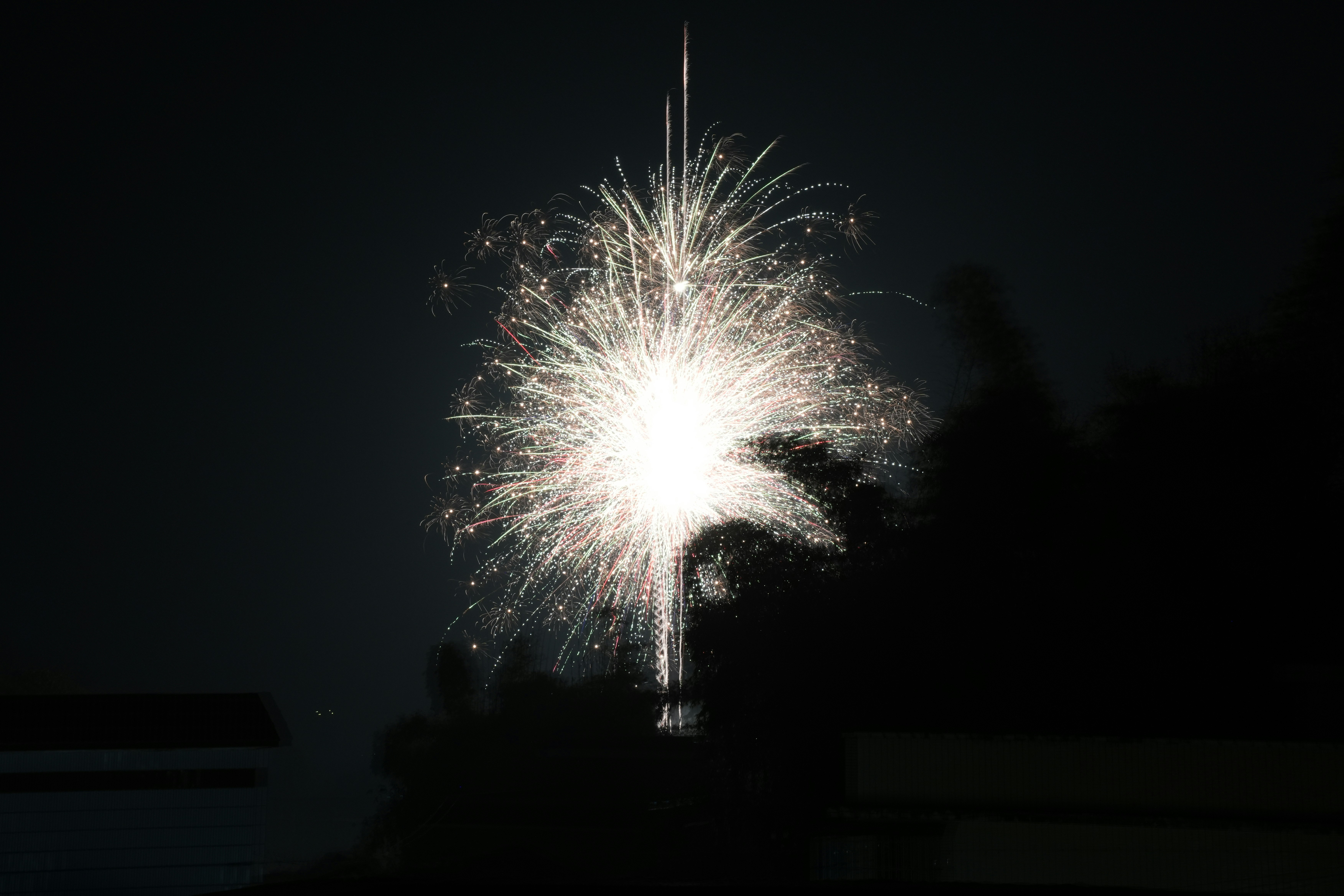 Night Bloom: Silver Burst Over Quiet Rooftops
