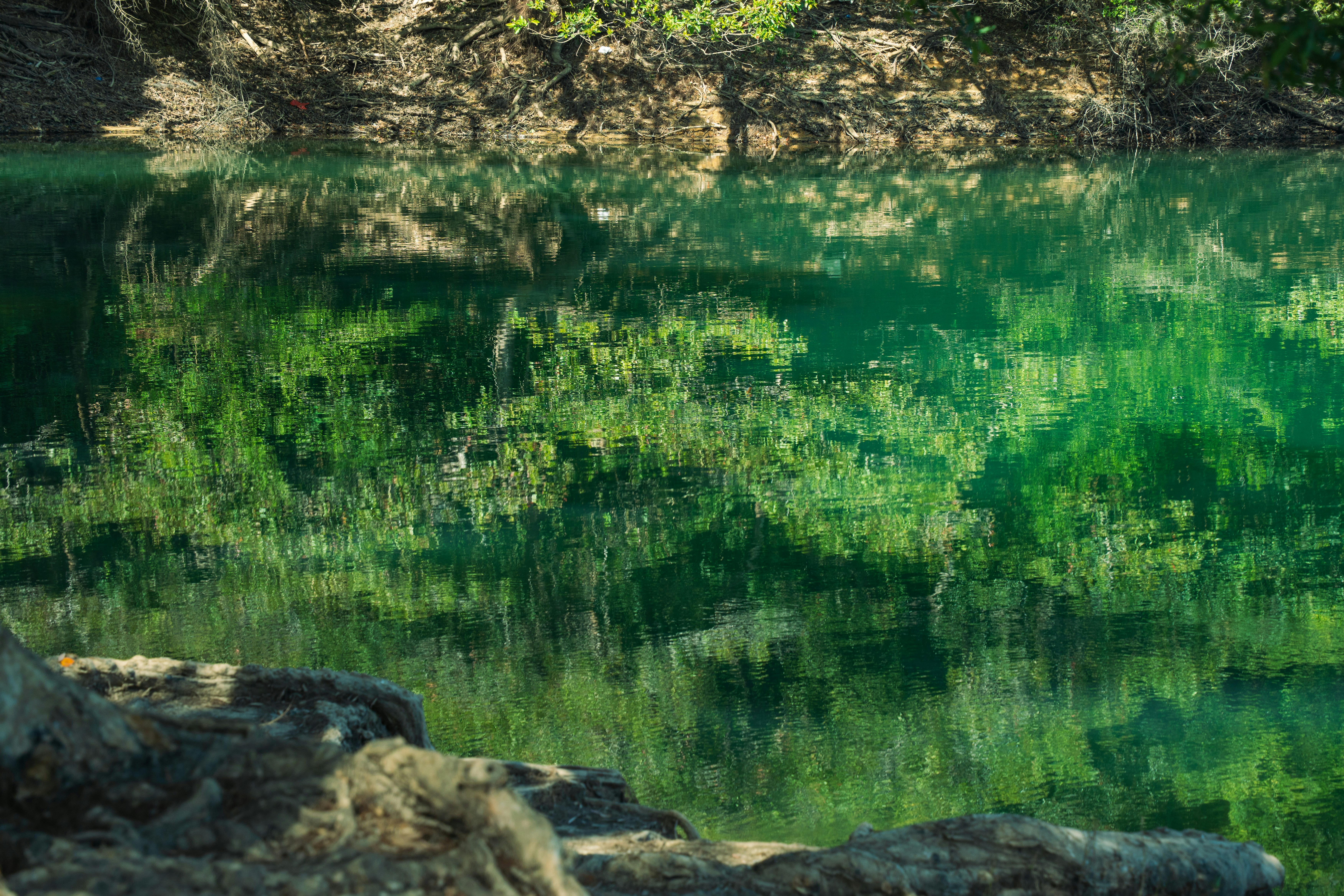 Emerald Mirror: Cliffside Water Translucence
