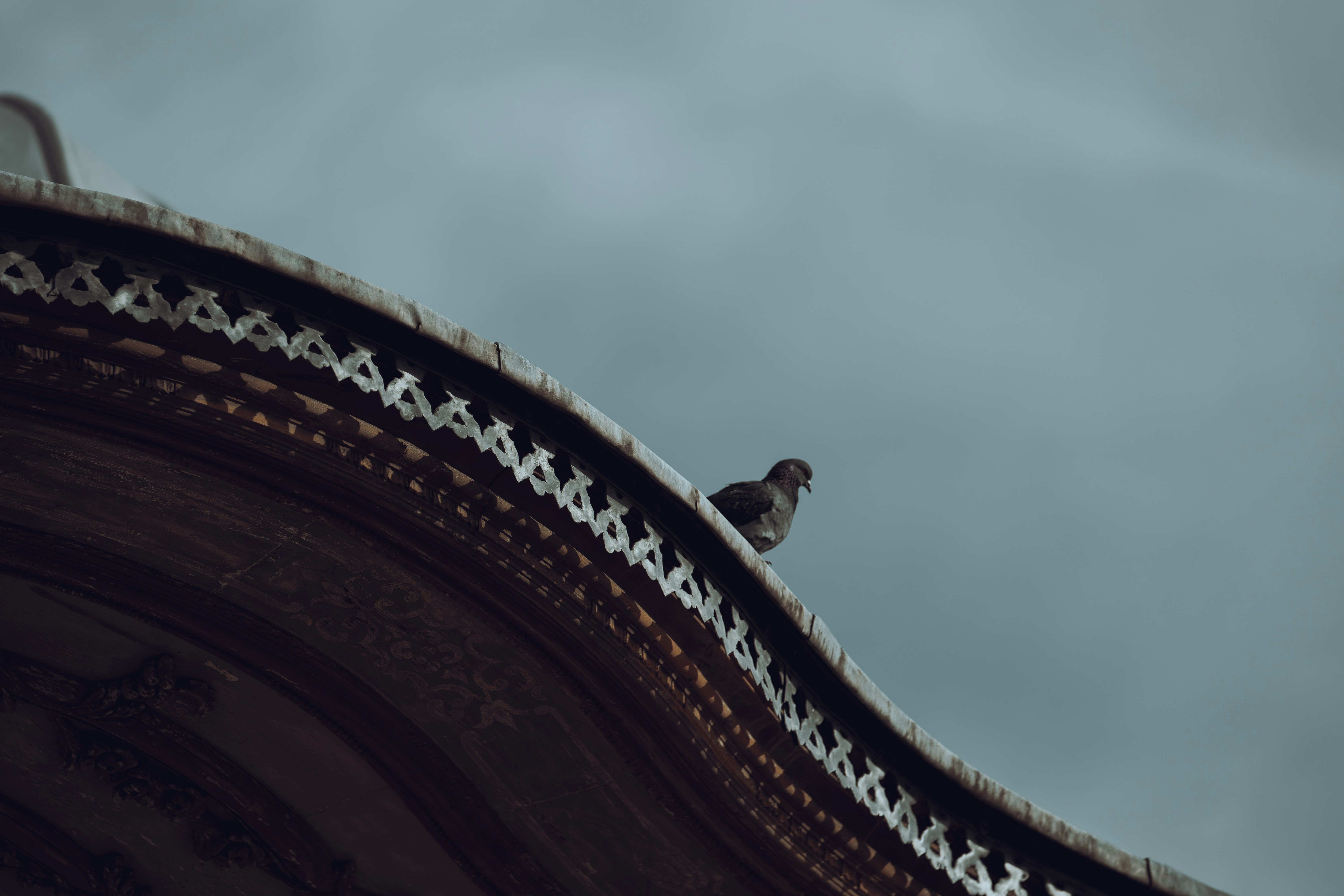 A solitary bird scouts the ornate edge of a curved rooftop