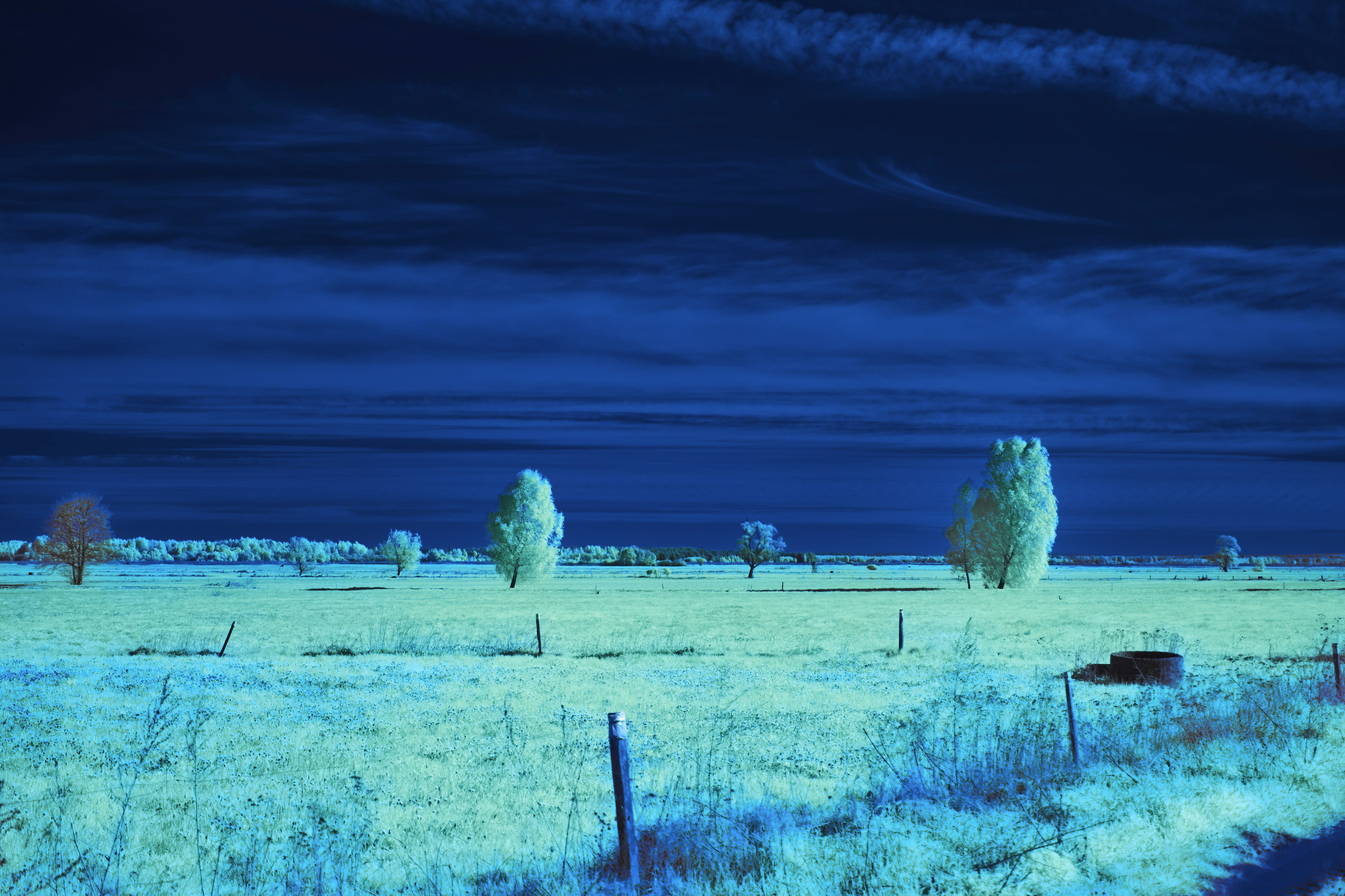 Azure Prairie: Midnight Field Under a Neon Sky