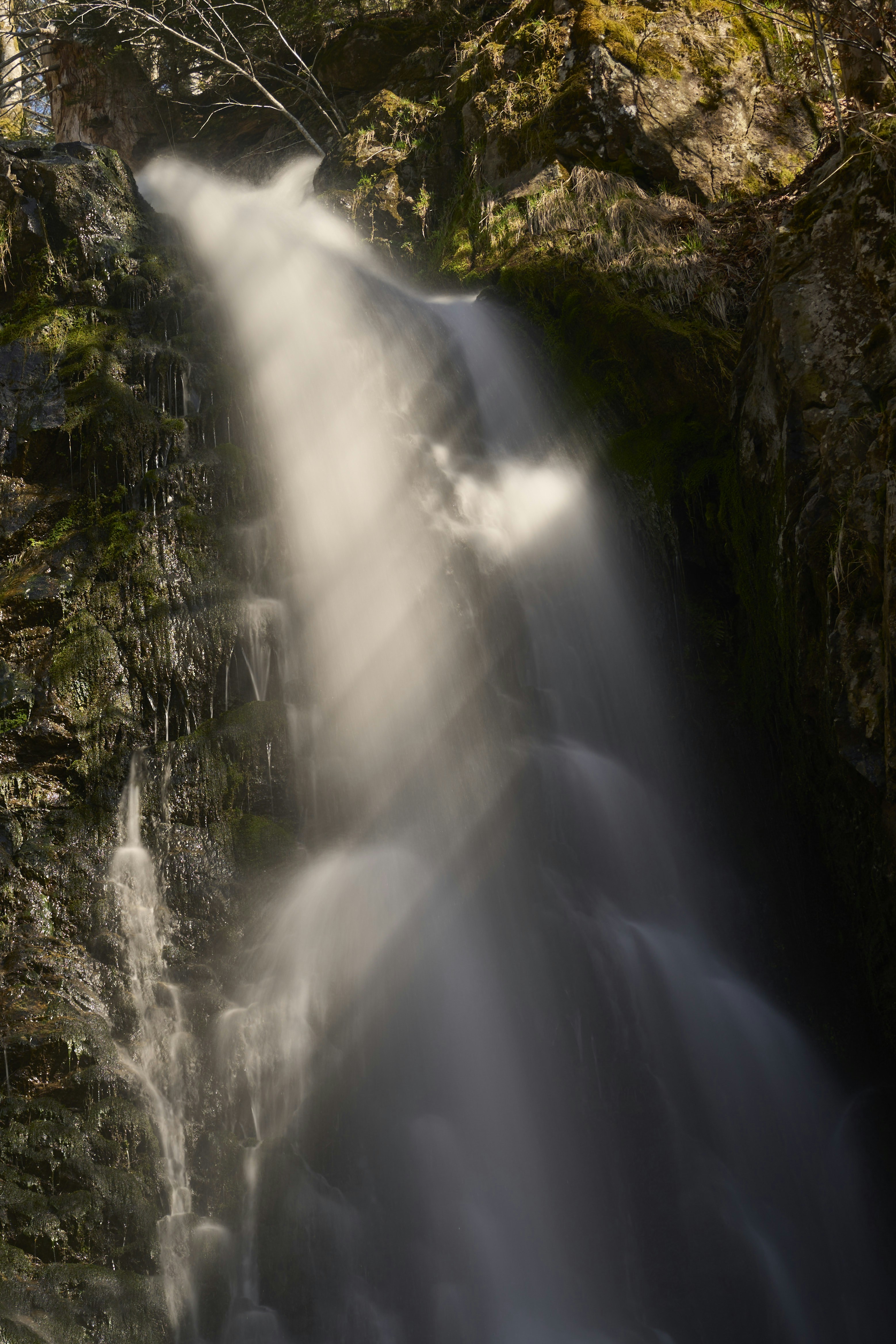 Cascade of Quiet Momentum