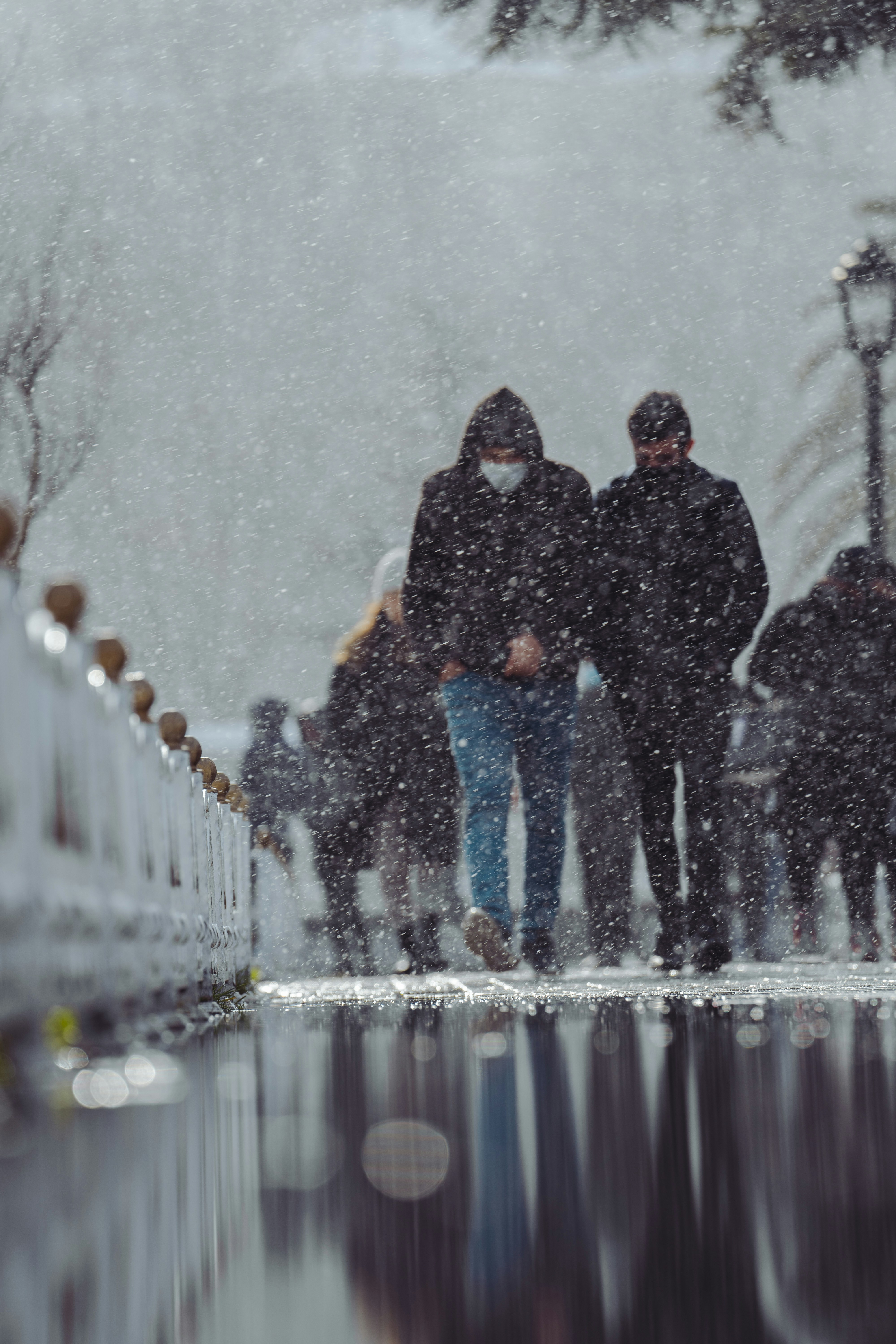 Snowy Street Shuffle: Faces in the Falling Threads