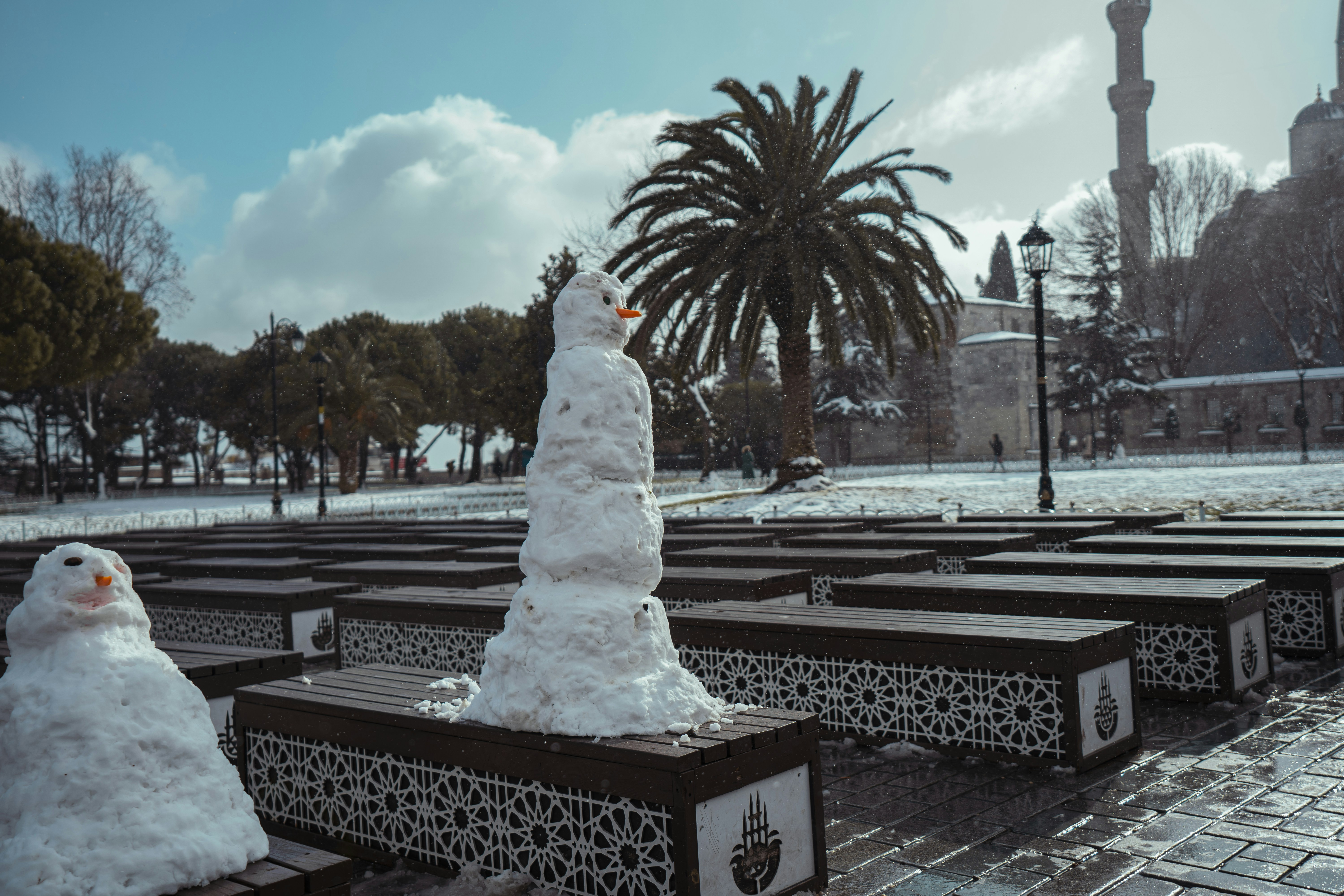 Snow Sculptures in a Velvet Park