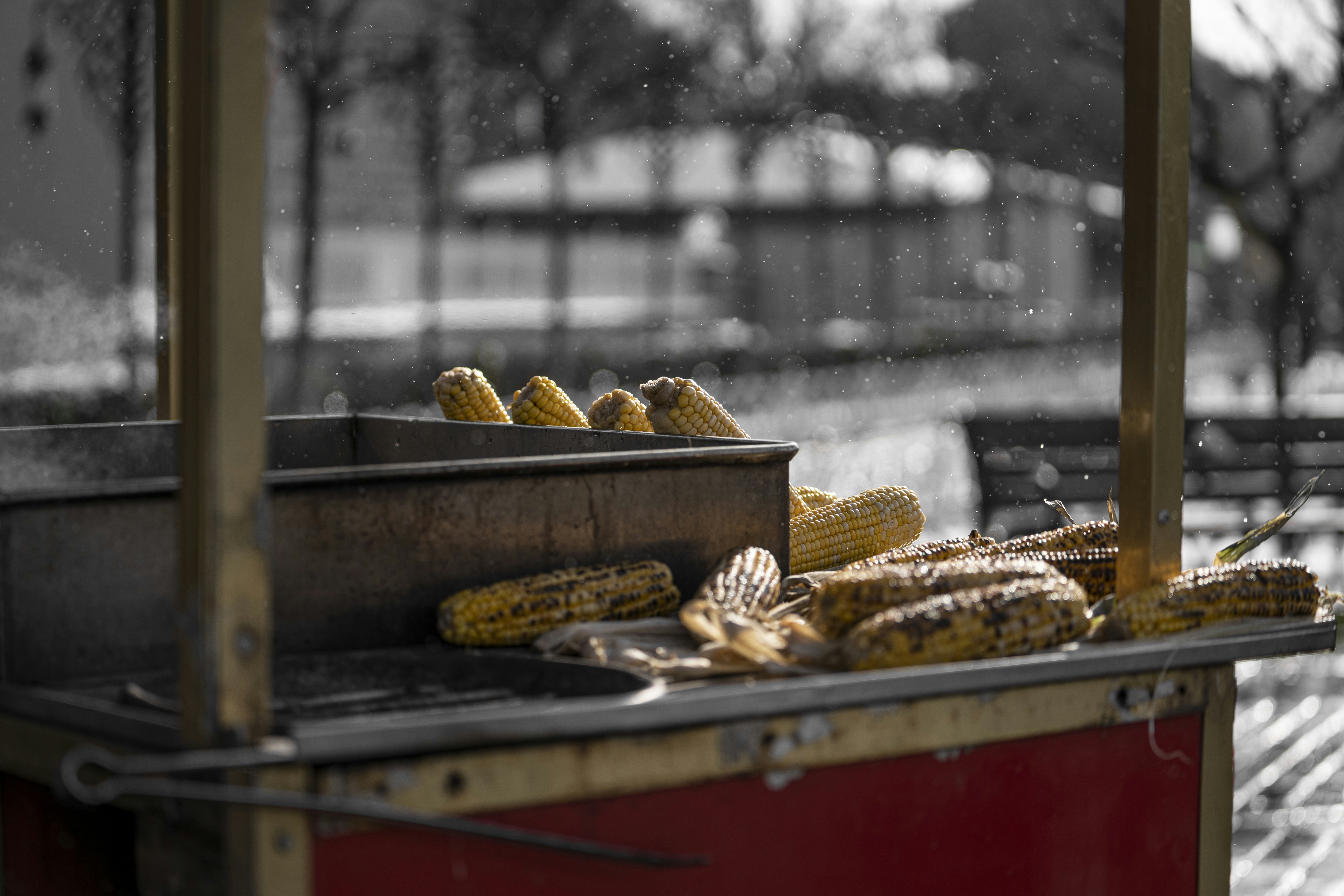 Staged Griddle: Charred Corn on a Rustic Grill