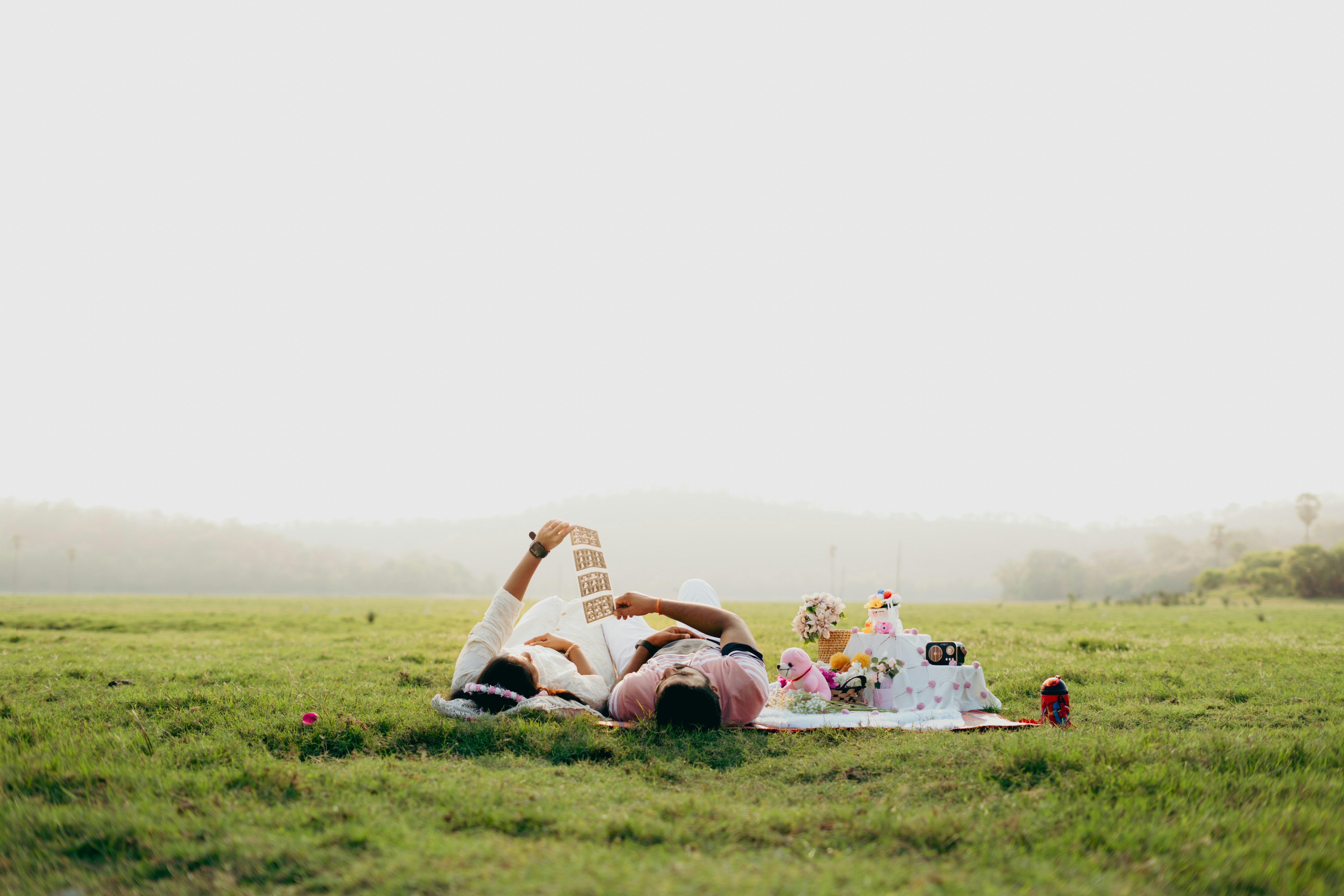 Serenade on the Meadow: A Gentle Picnic in Soft Light