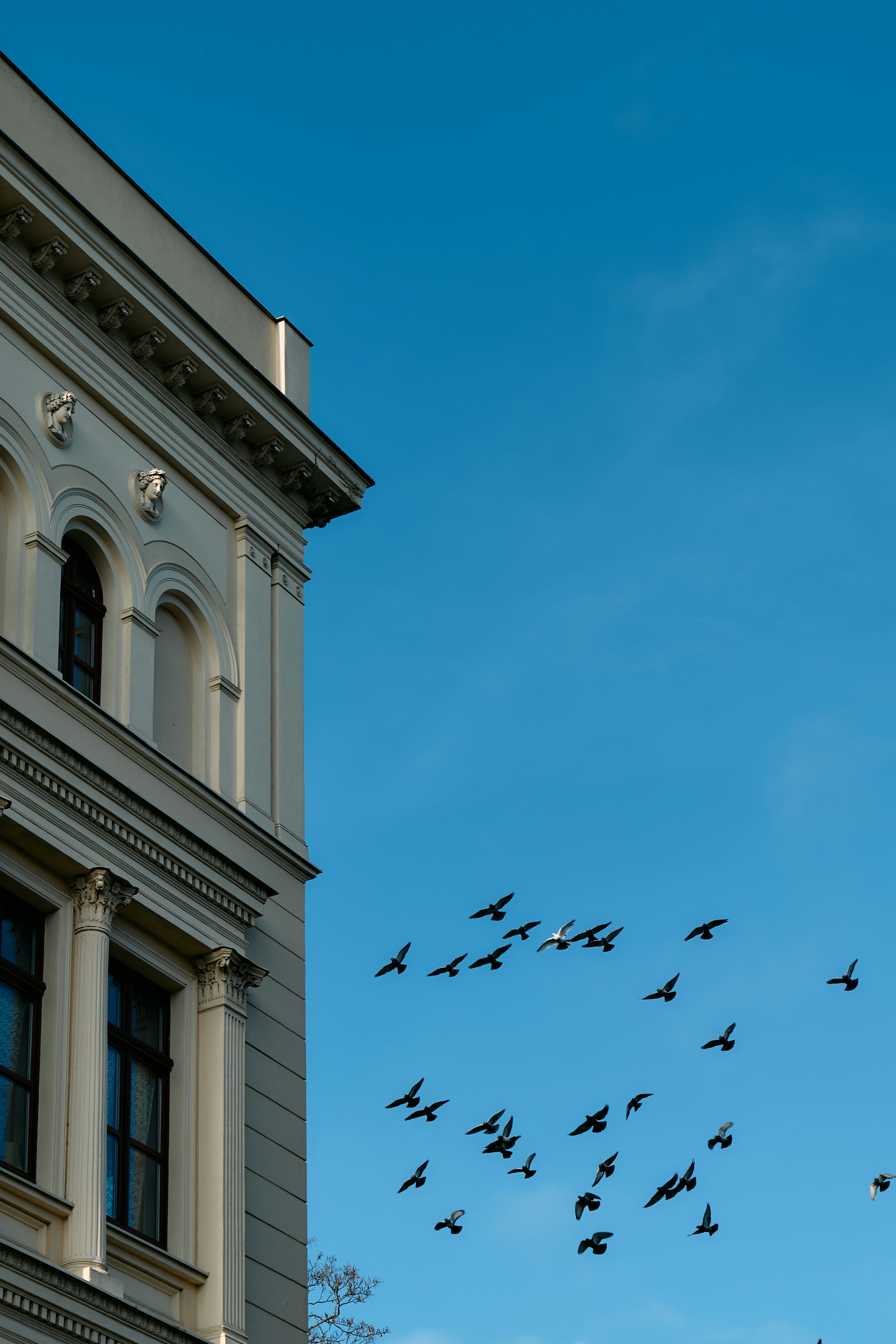 Gothic Facade and Vagrant Flight