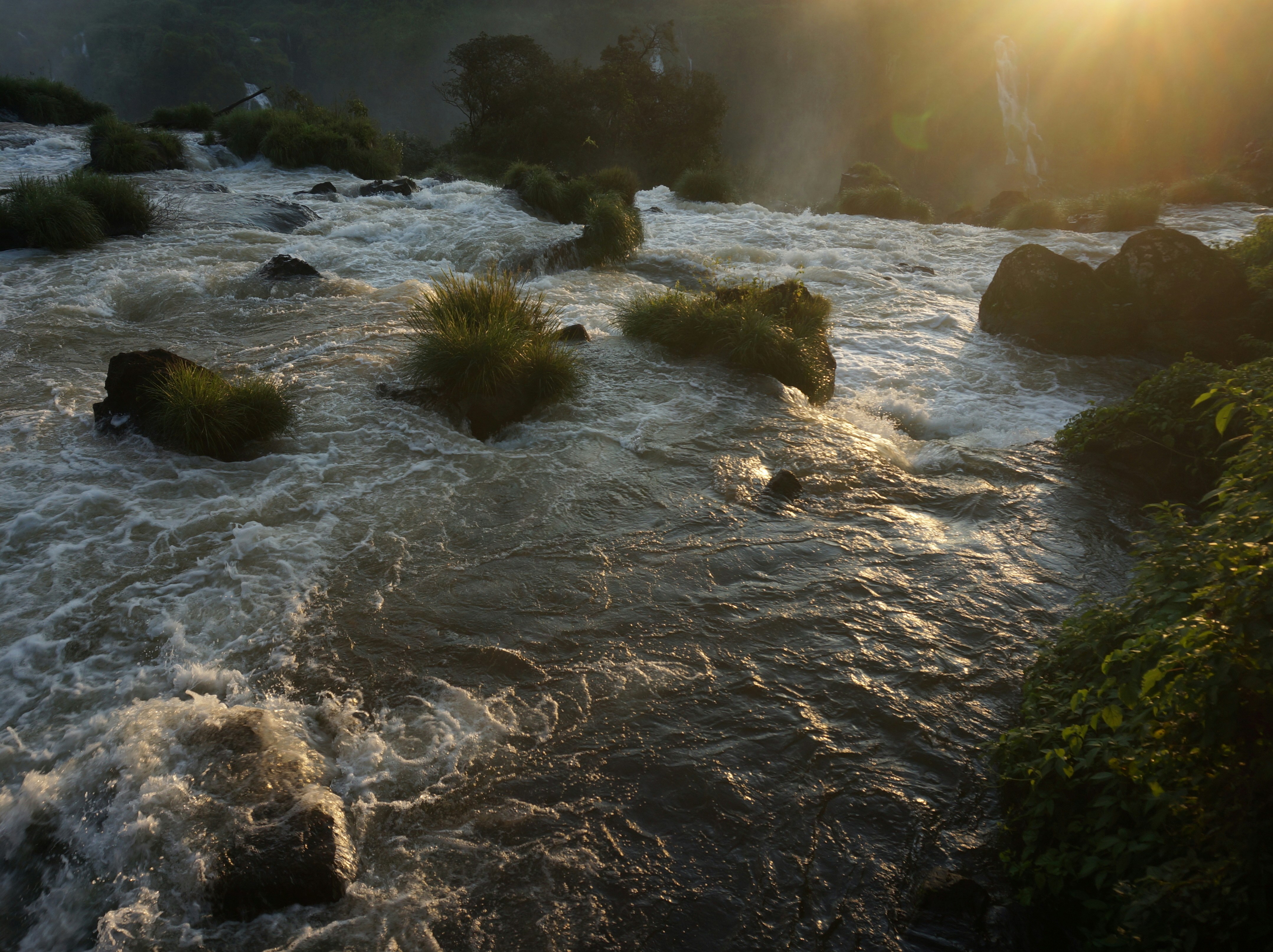 Sunlit Rapids: Stones, Water and Distant Forest Edge