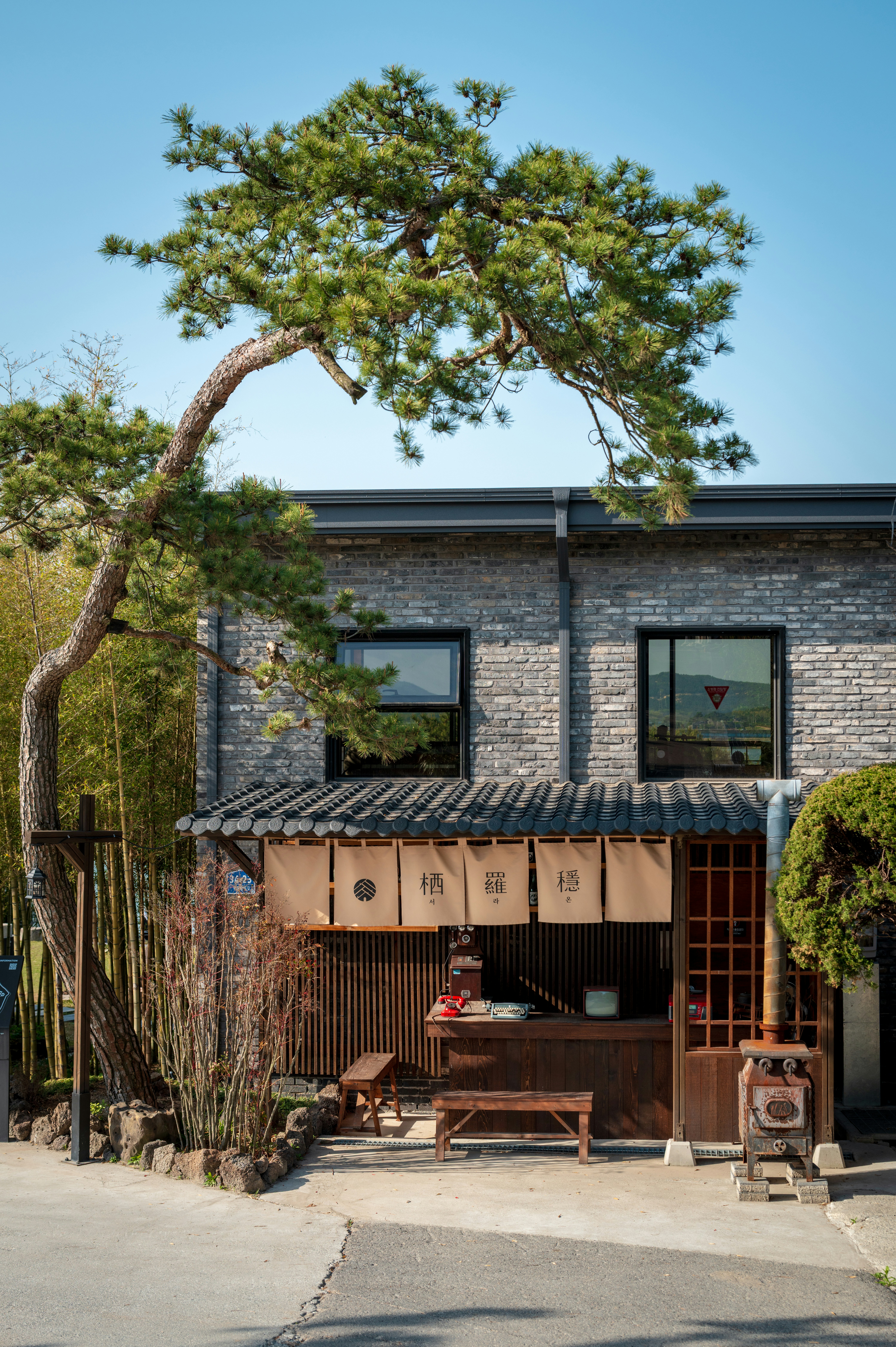 Lunchyard Shrine: A Quiet Teahouse Nestled Under a Winding Pine