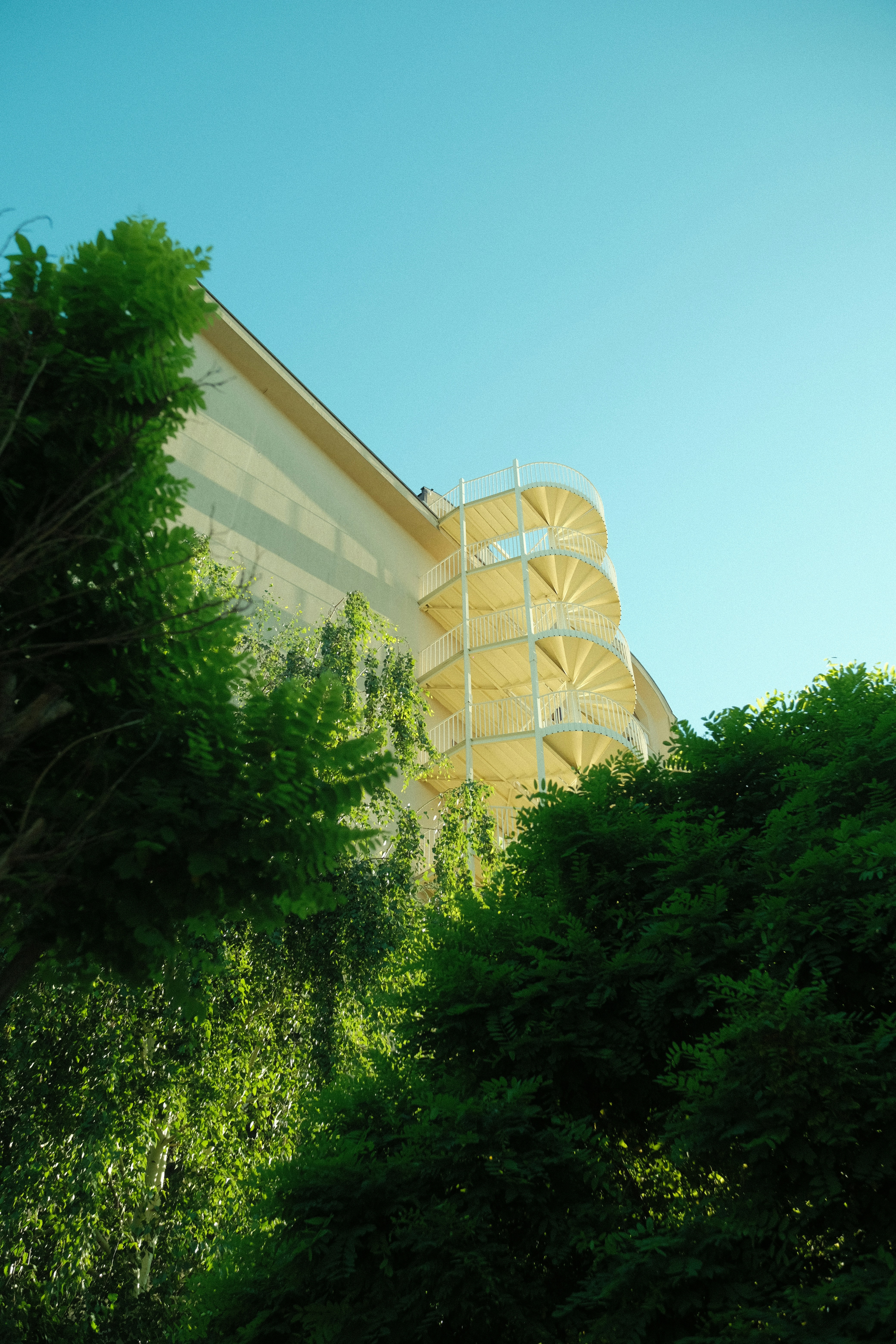 Spiral Staircase Tower Rises Above Green Canopy