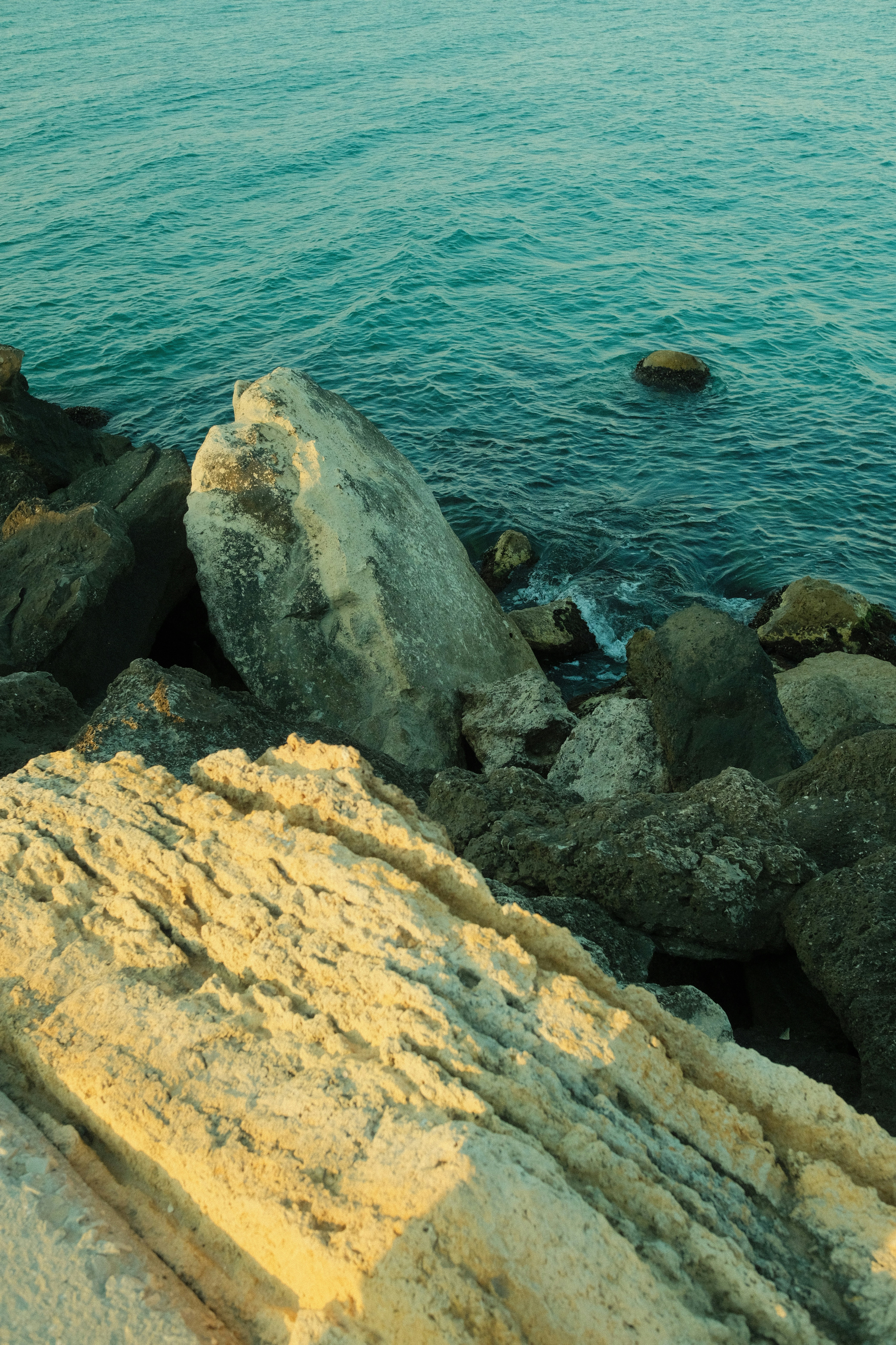 Sunlit Tidal Ridges: Rocks Meet the Sea