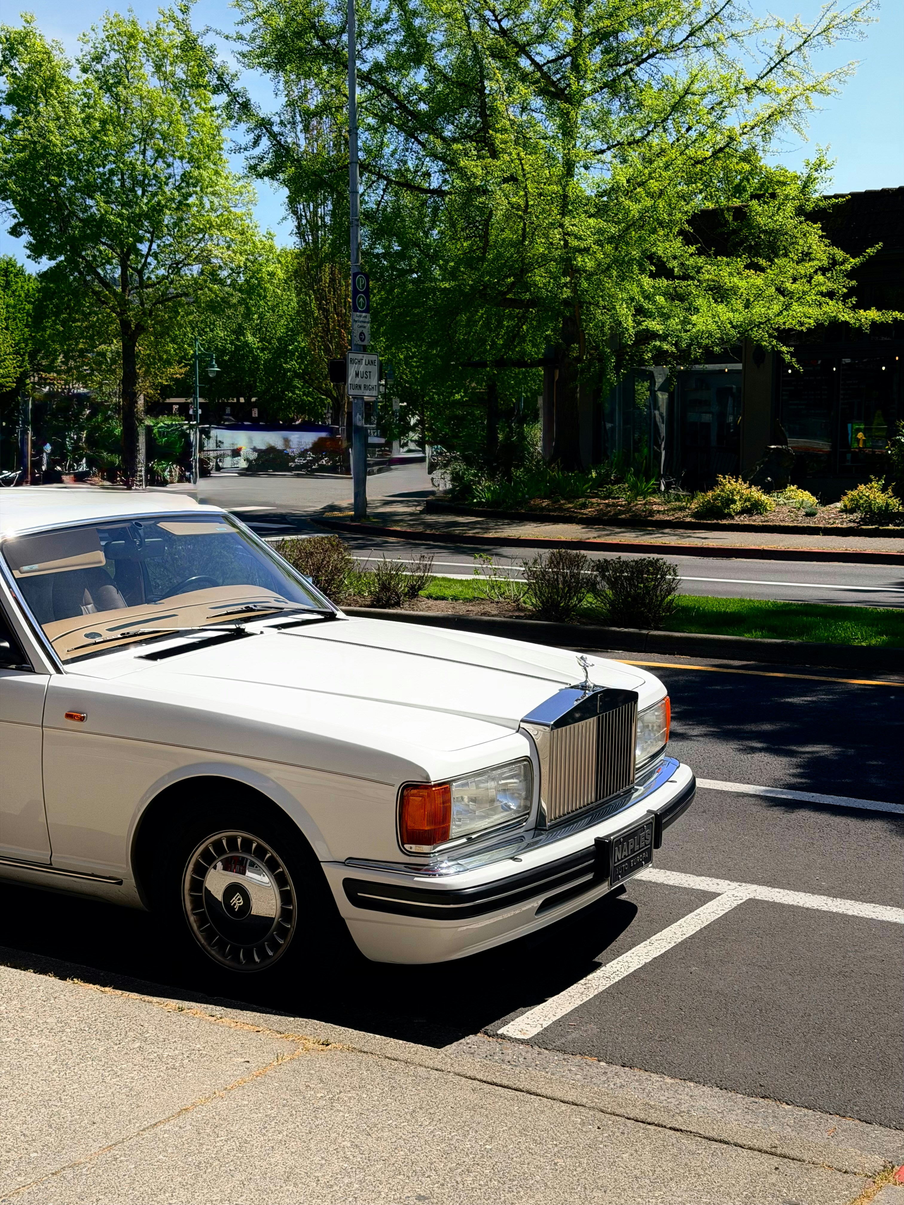 Classic White Chauffeur: A Vintage Car Anchored by Quiet Streetgreen