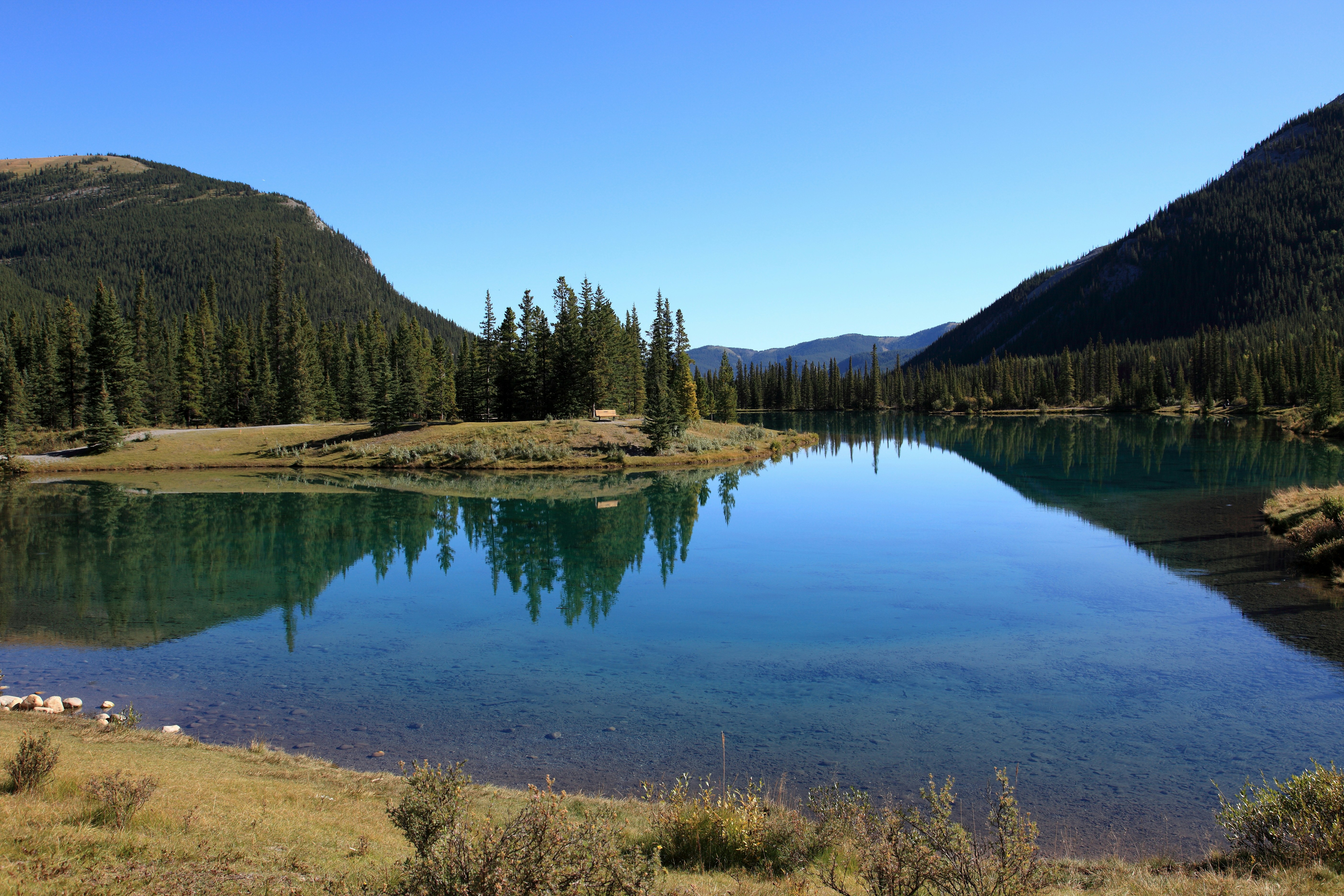 Quiet Alpine Mirror: Peaks, Pine, and a Pristine Lake
