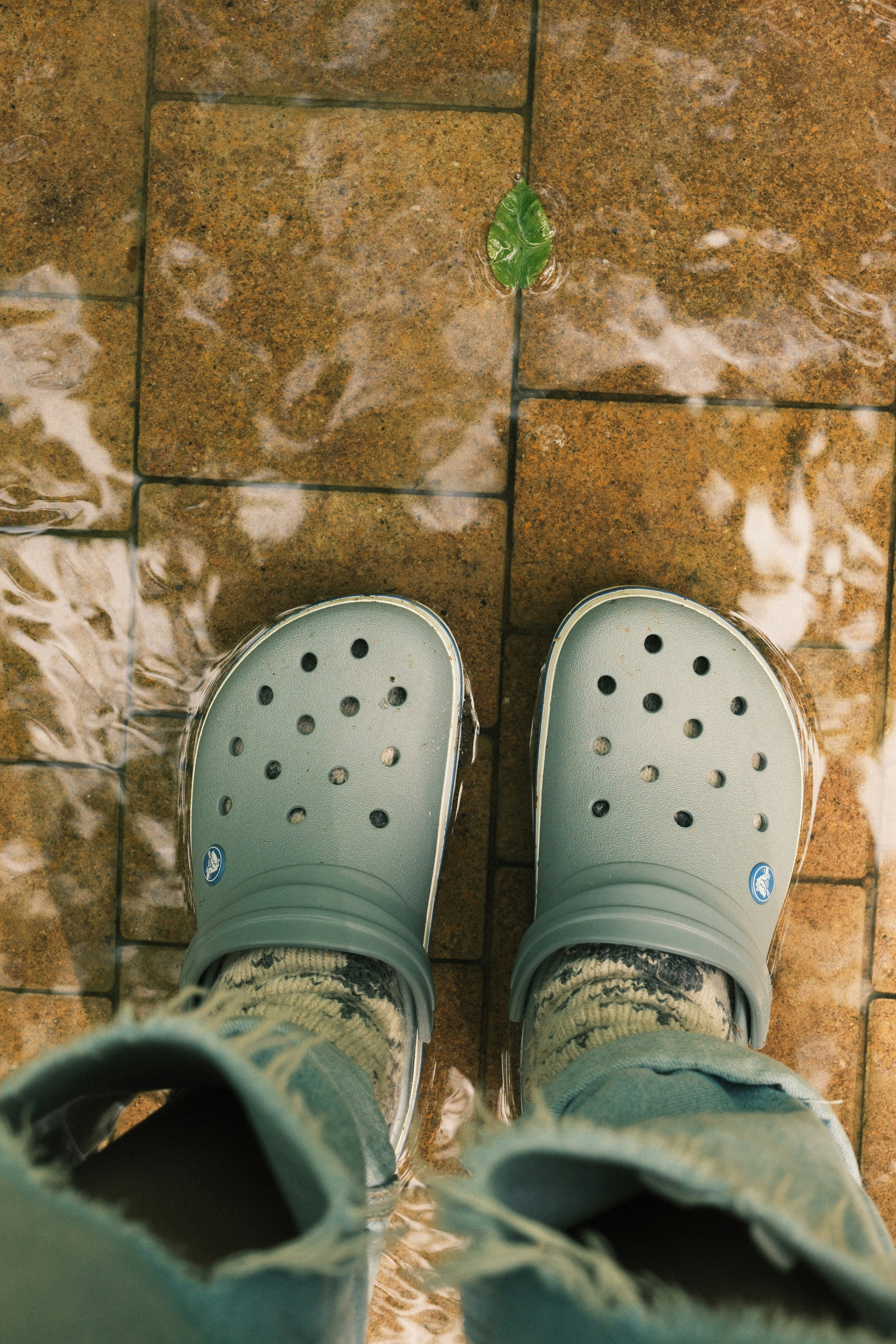 Crocs and Creeklined Tiles: Ground-Level Perspective in Rainy Light