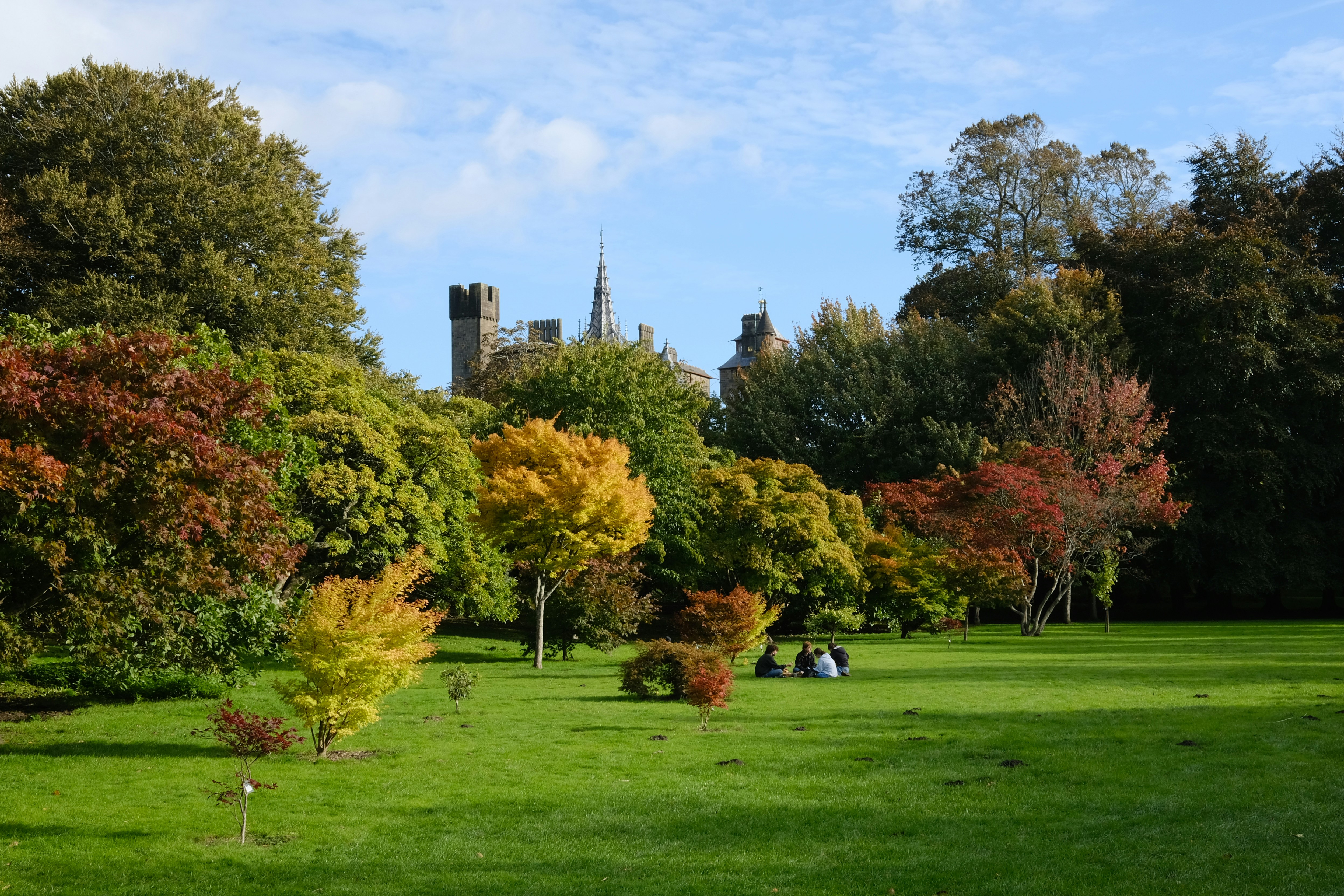 Autumnal Park Vista with Cityscape Backdrop