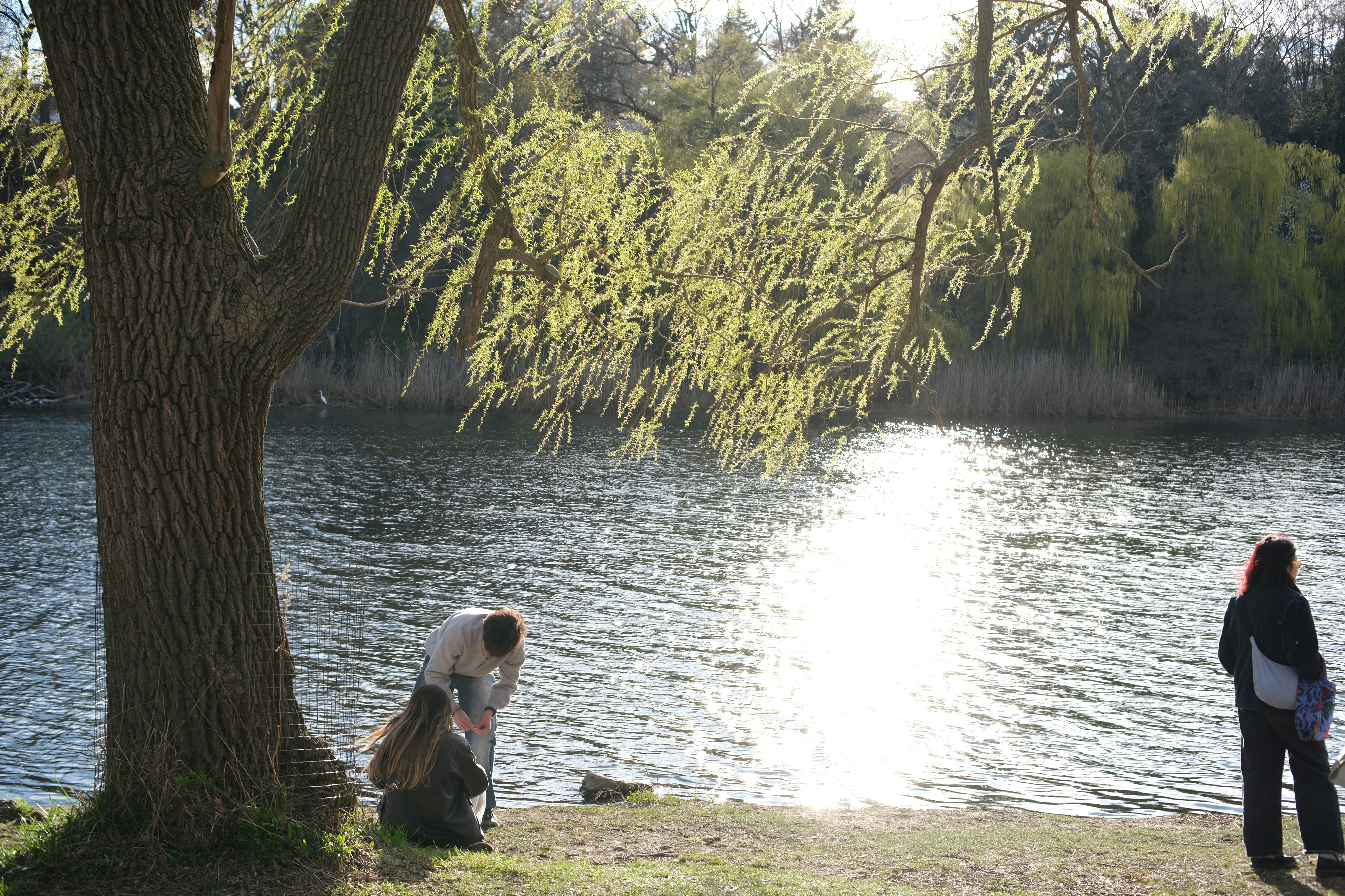 Sunlit shore: a quiet moment by the lake with figures in conversation