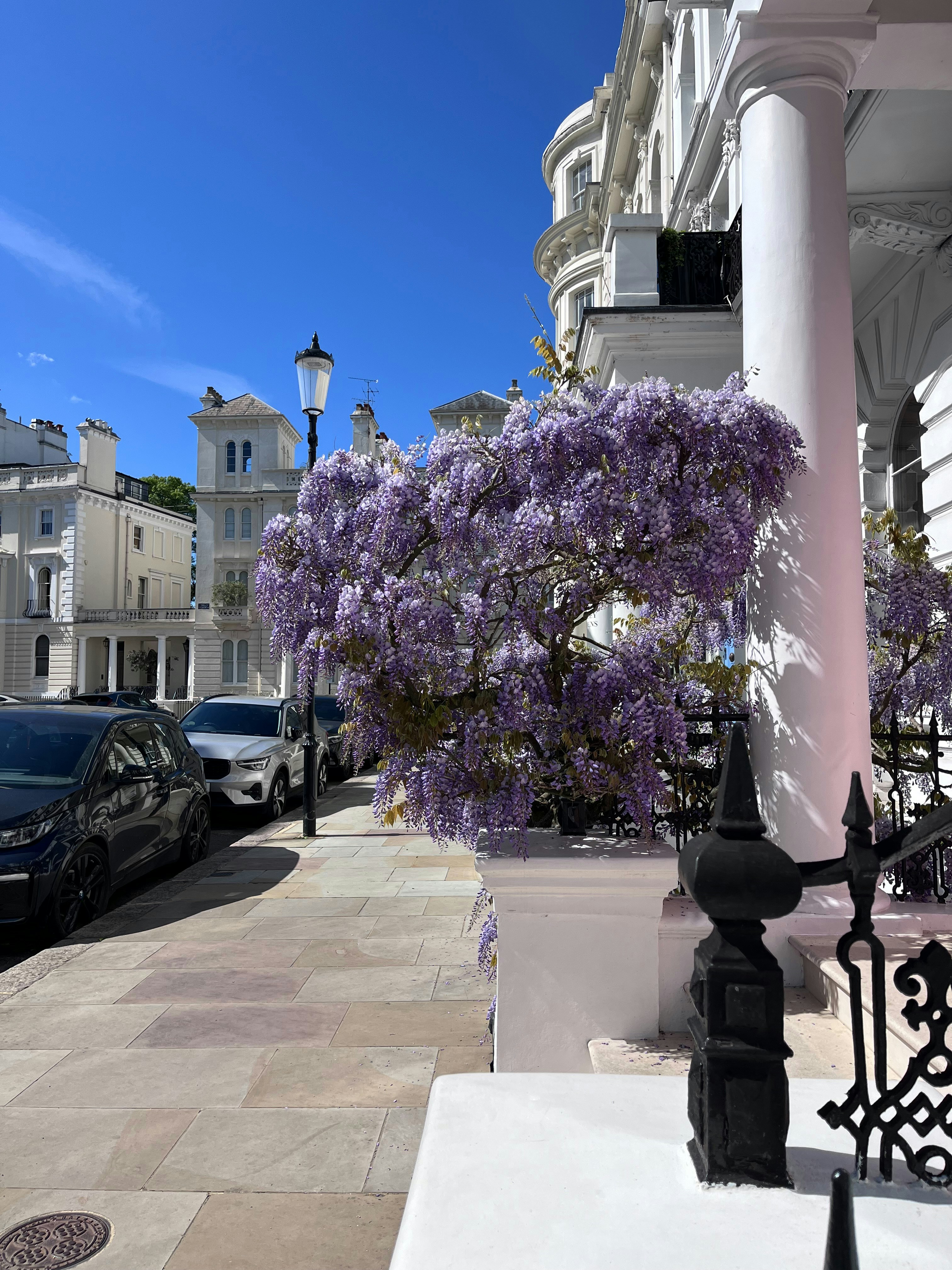 Lilac-clad Balcony Overlook on a Sunlit Victorian Street
