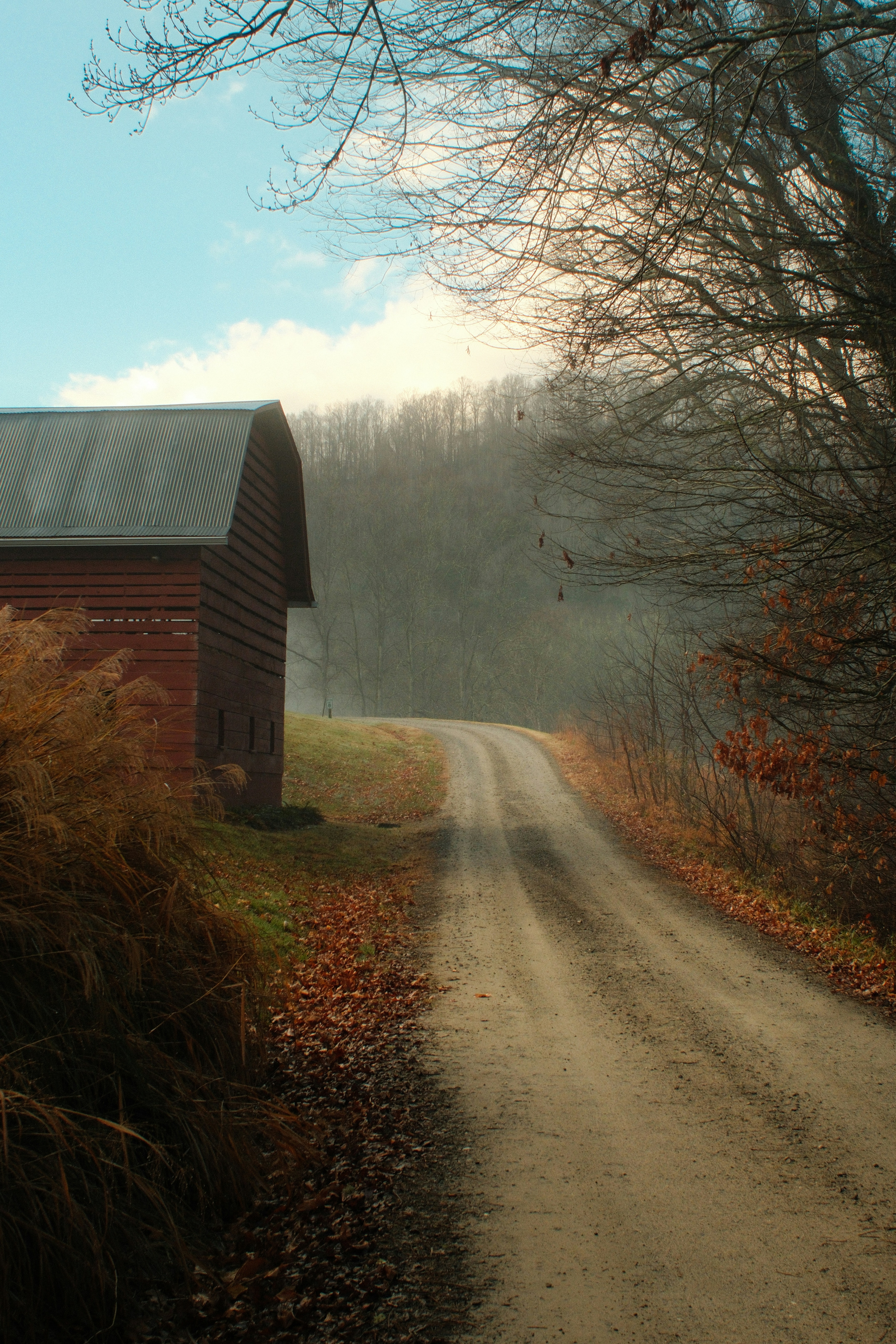 Rural Pathway with Red Barn and Distant Tree Line