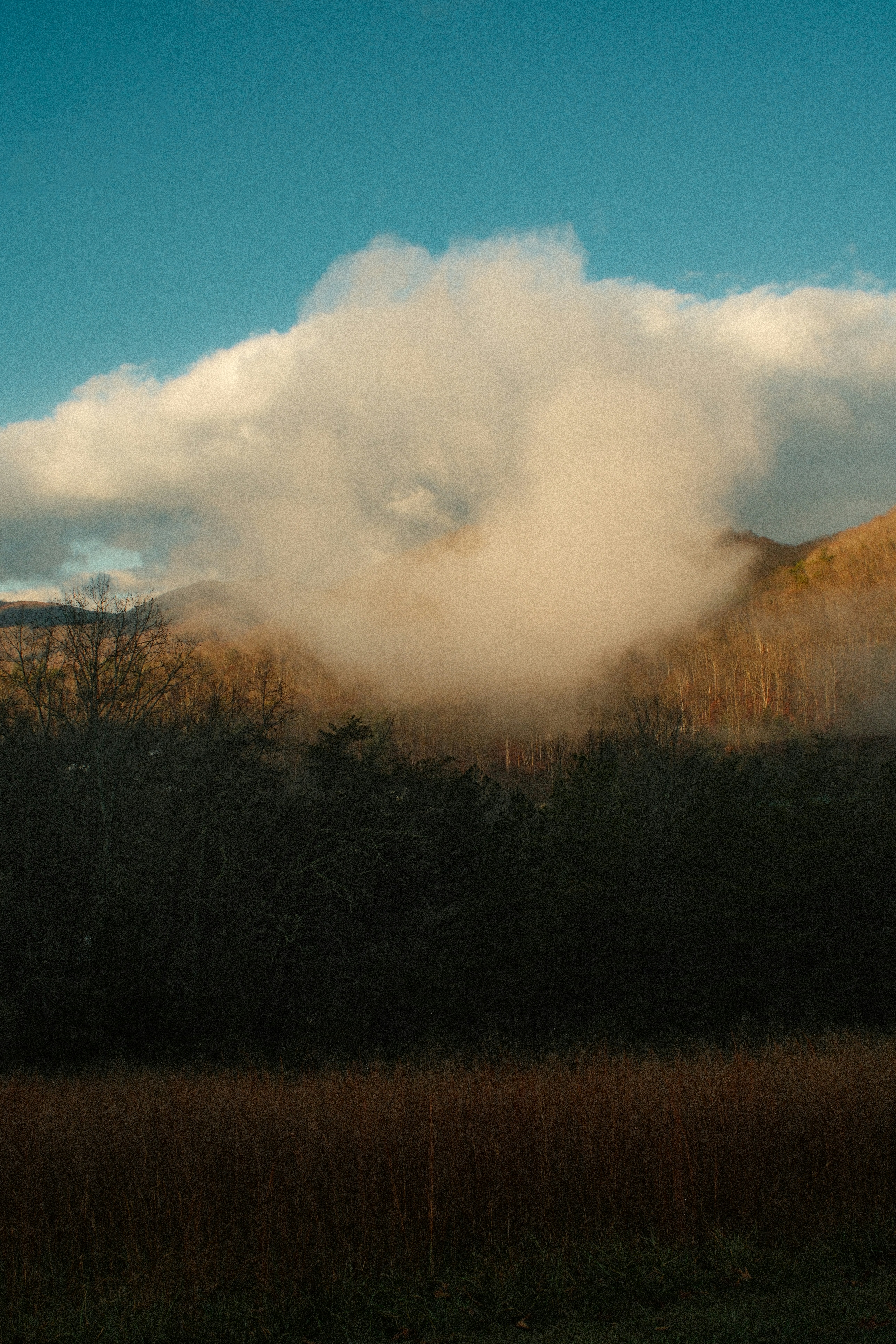 Low cloud bloom over a sunlit hillside