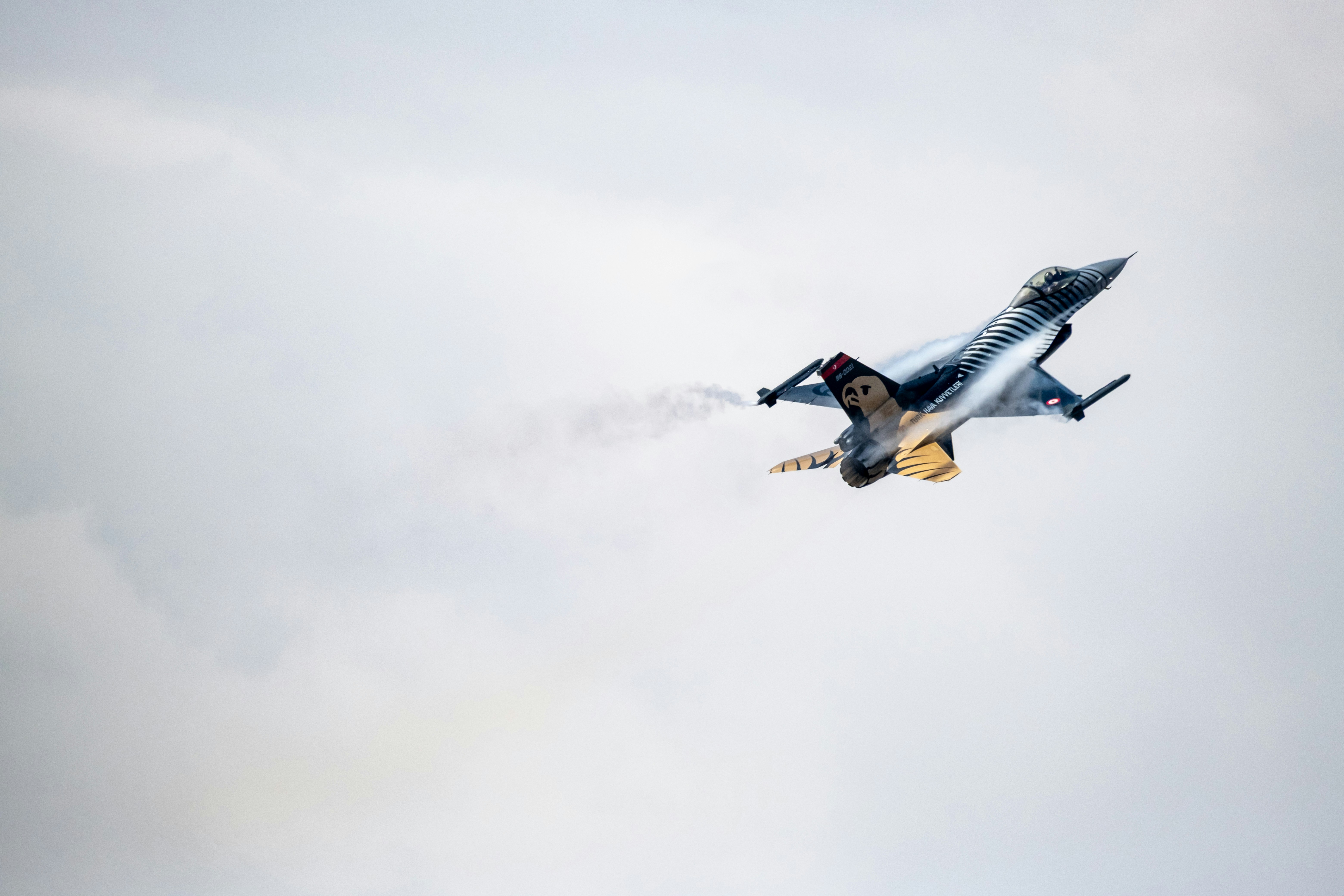 Skyward Smoke and Scale: A Solo Jet Rises Above White Currents