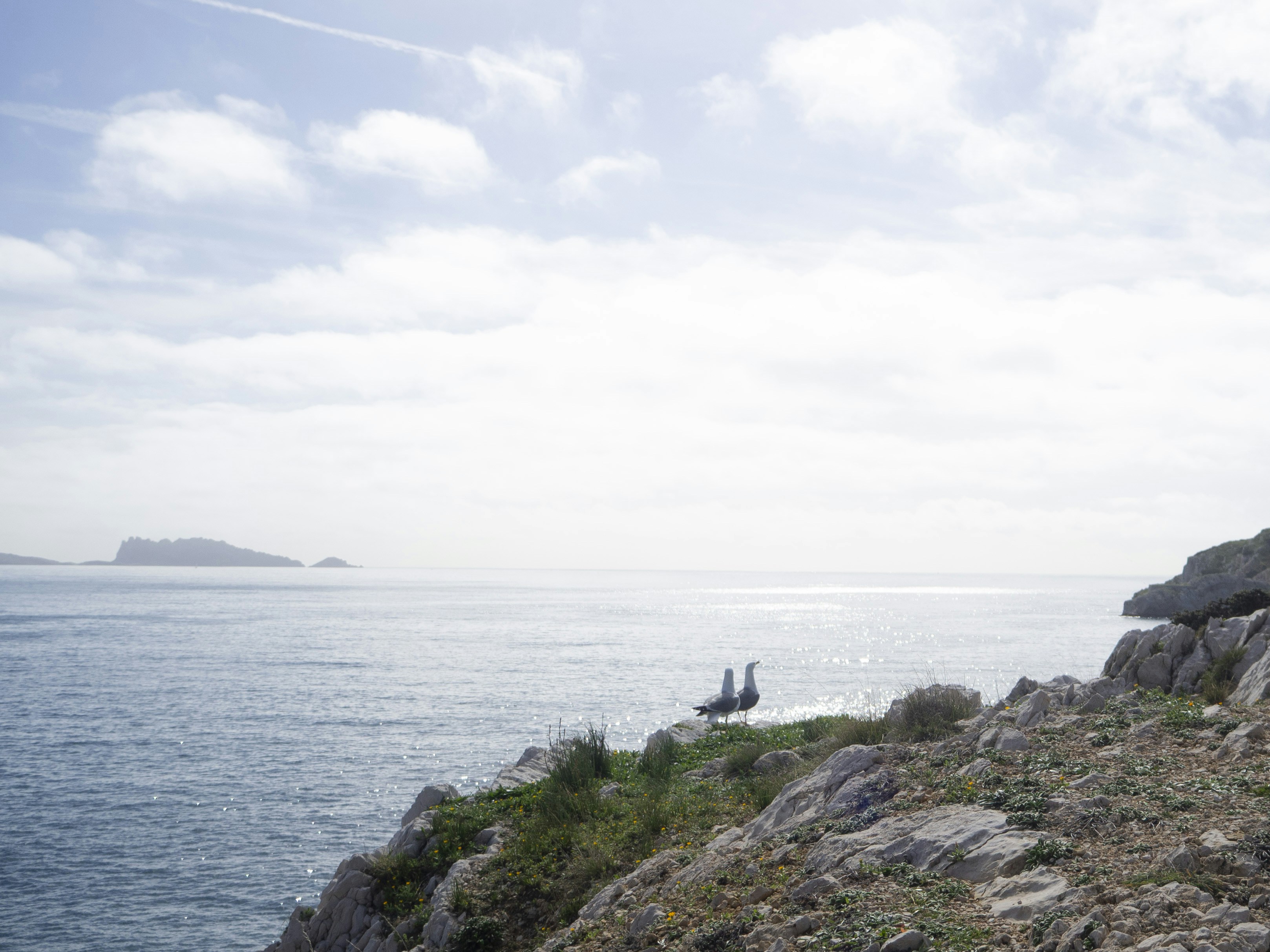 Quiet Cliffs: A Sea Horizon Framed by Rugged Rocks
