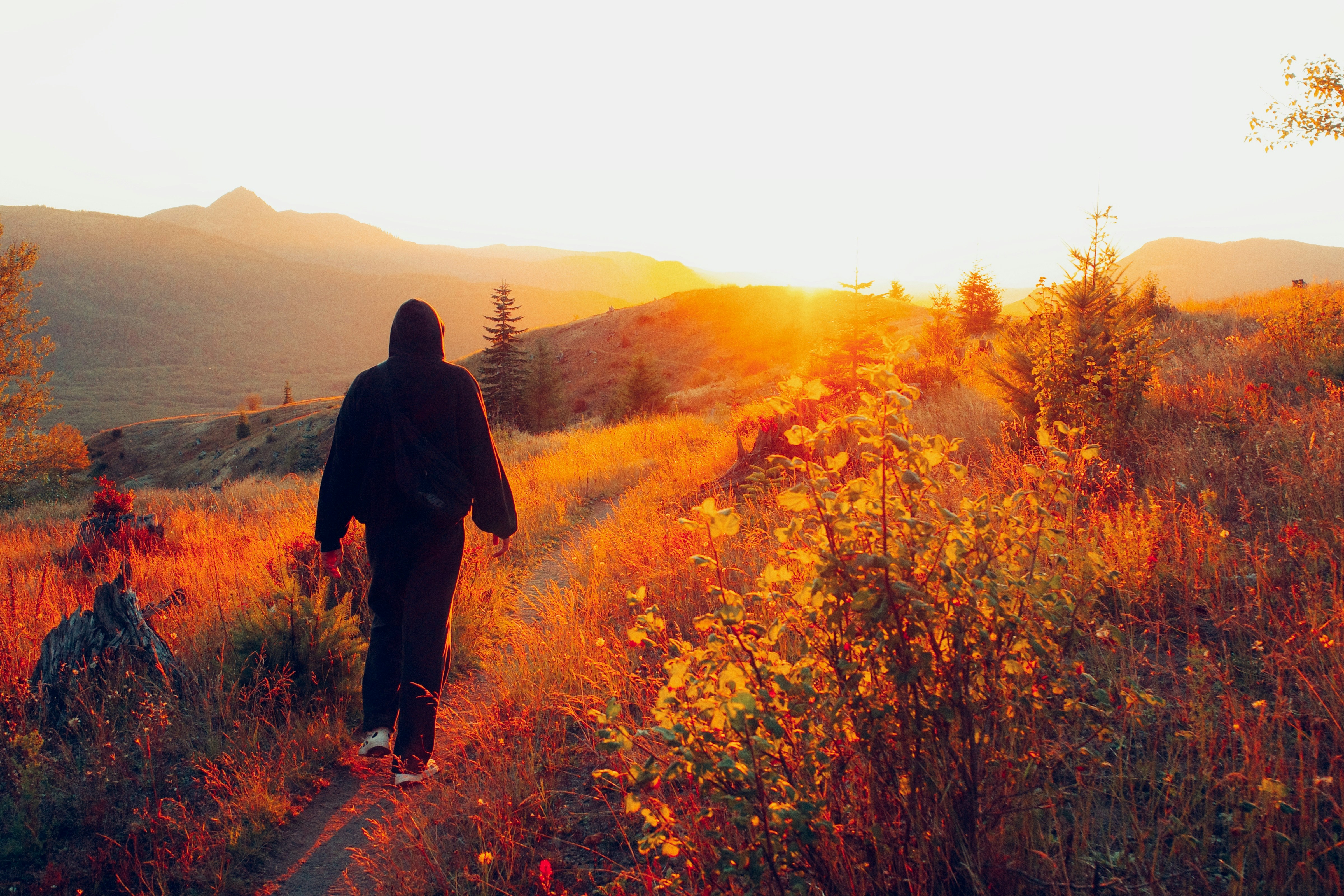 Golden Ridge Stroll at Sunset