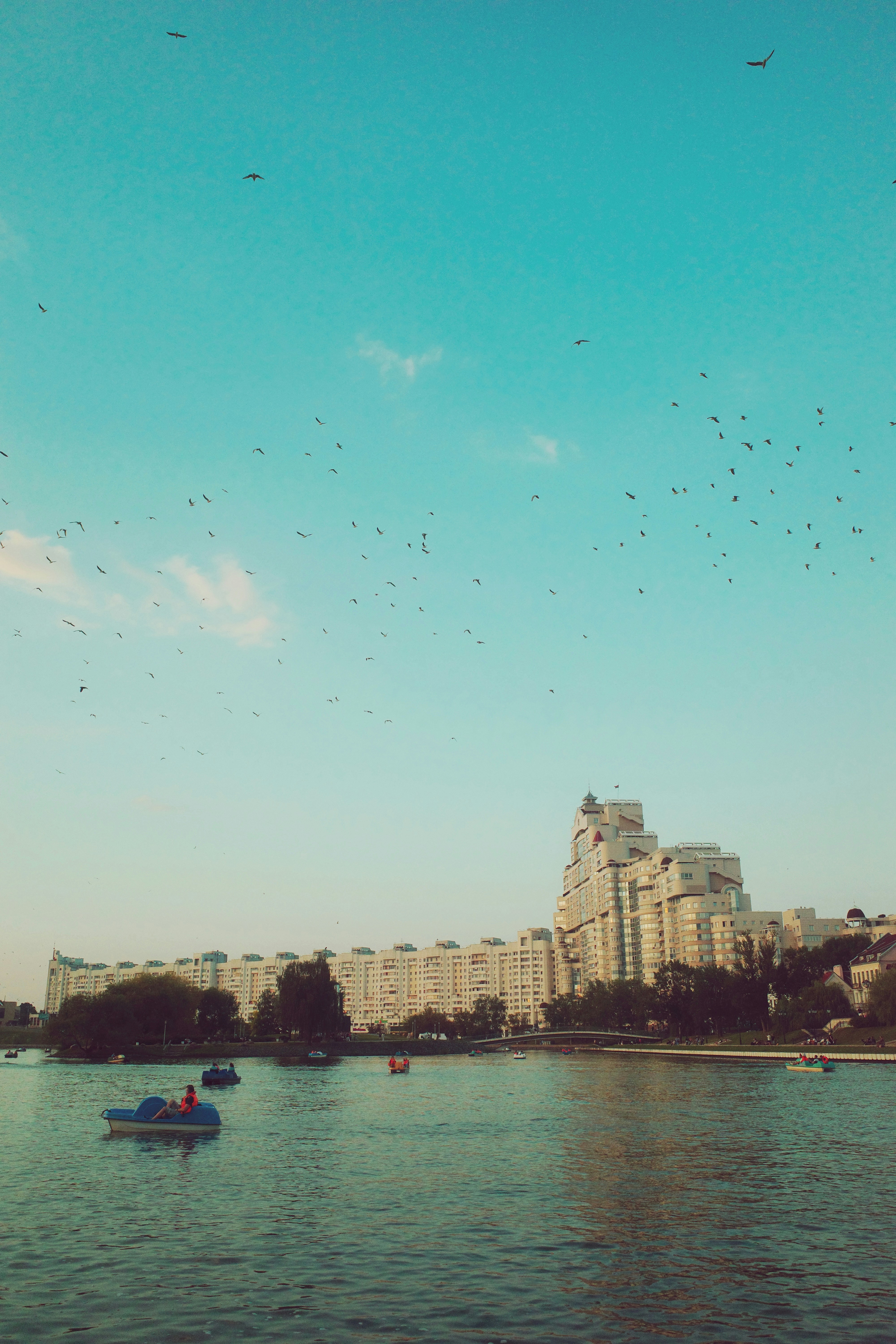 Urban Waterfront Twilight: Birds over a Riverside Terrace