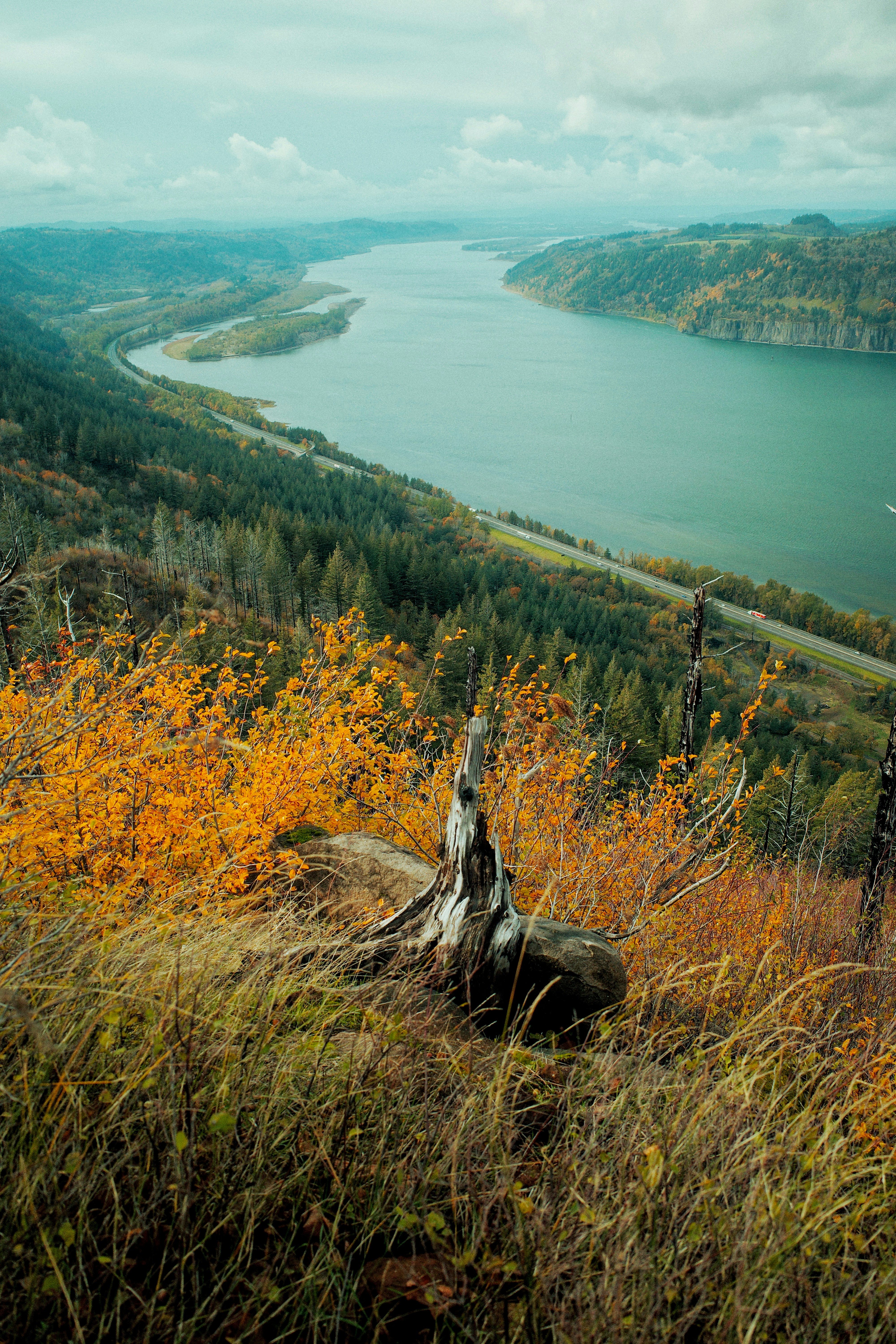 Overlook from the Fall Ridge