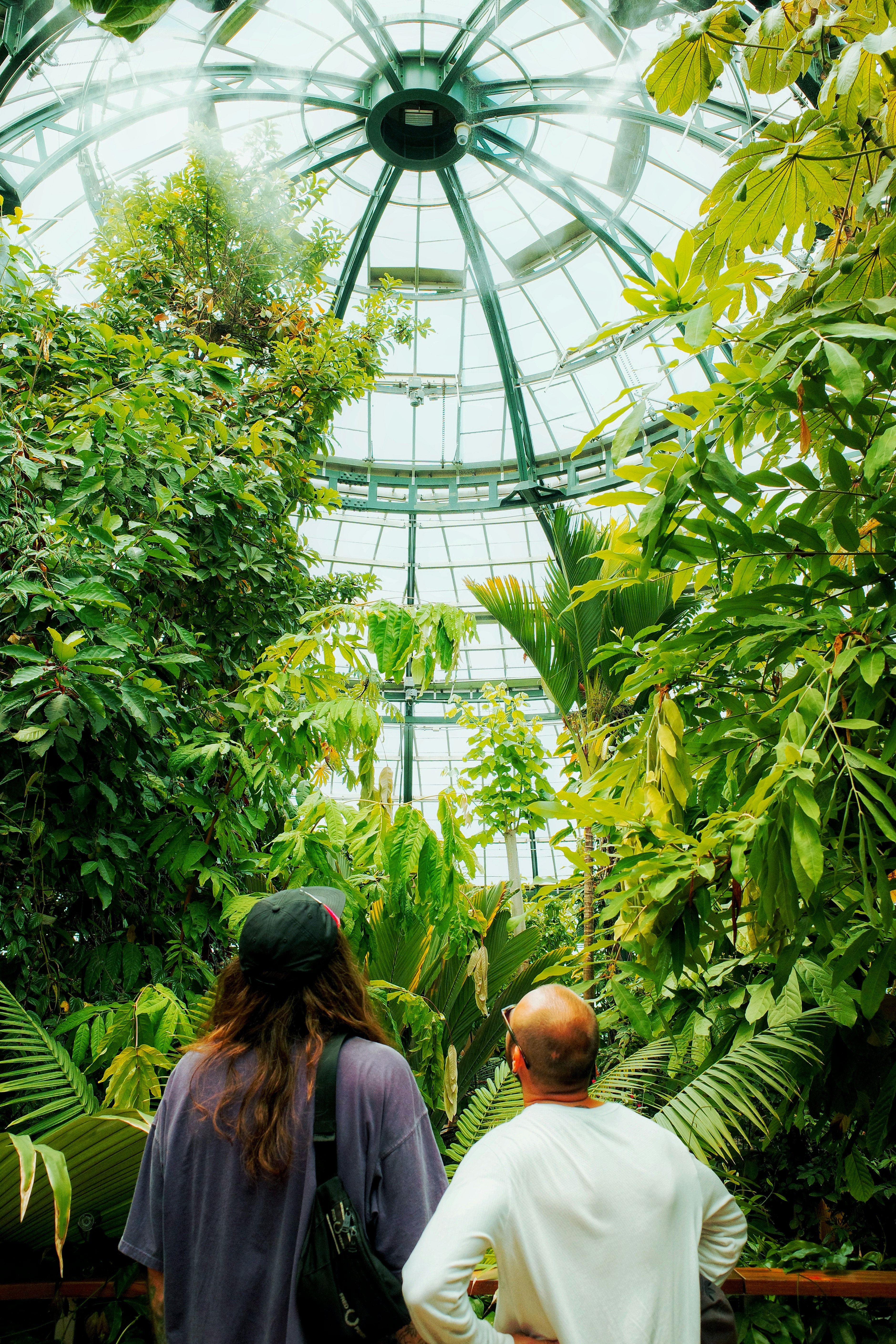 Optimism | Unsplash