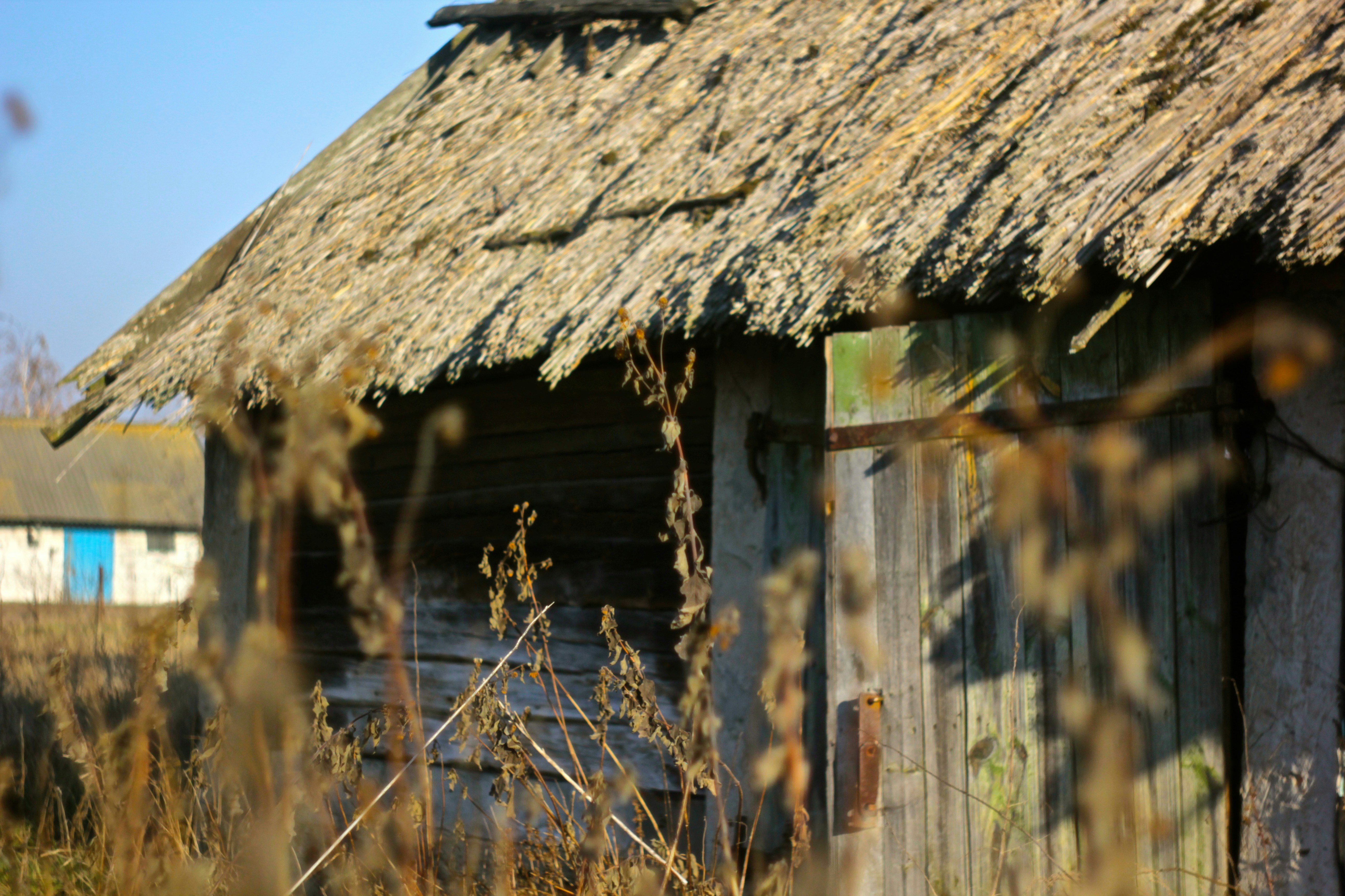 Thatched-roof Shack in Autumn Light