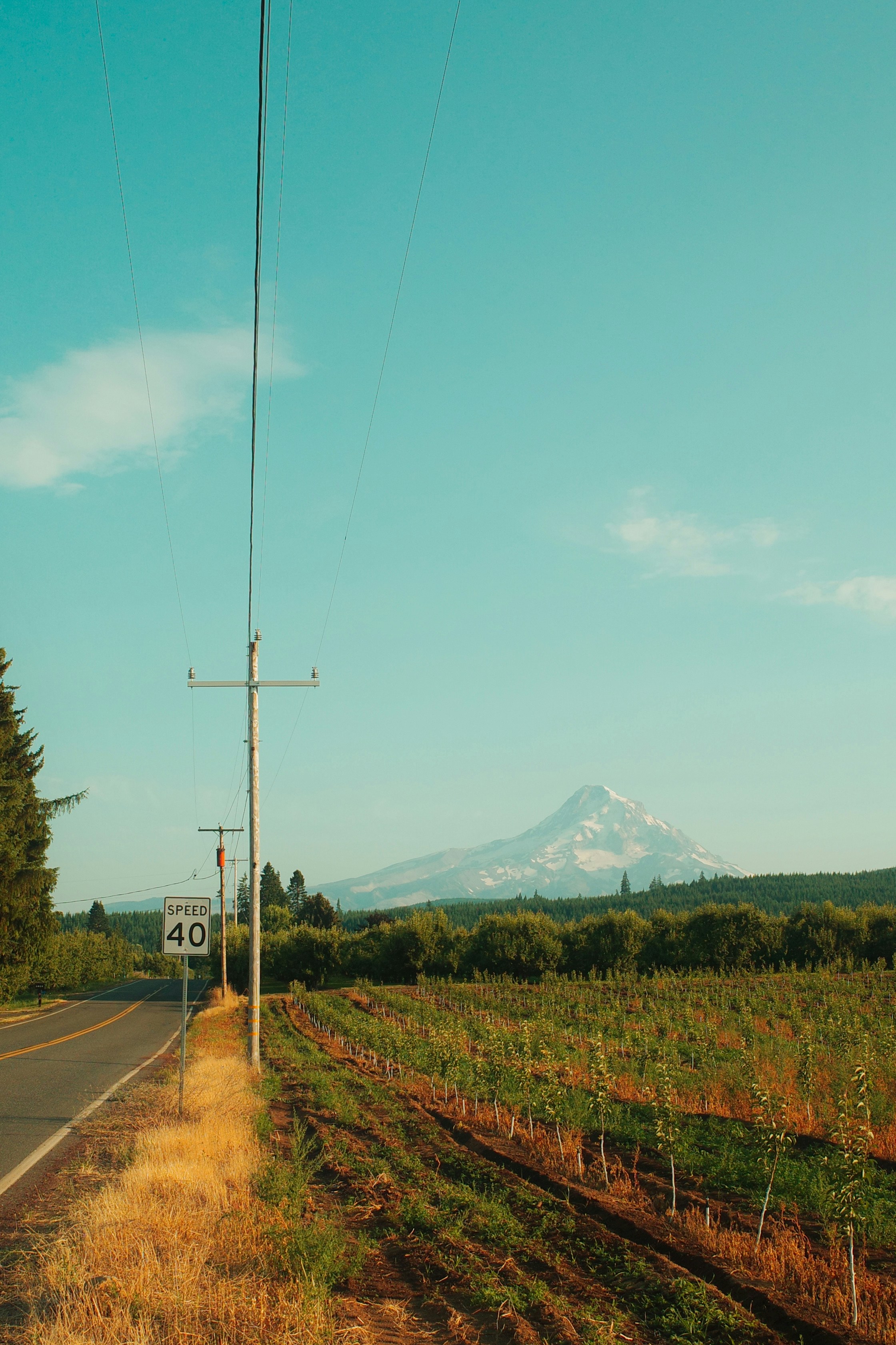 Roadside Fields Toward a Snow-Capped Peak