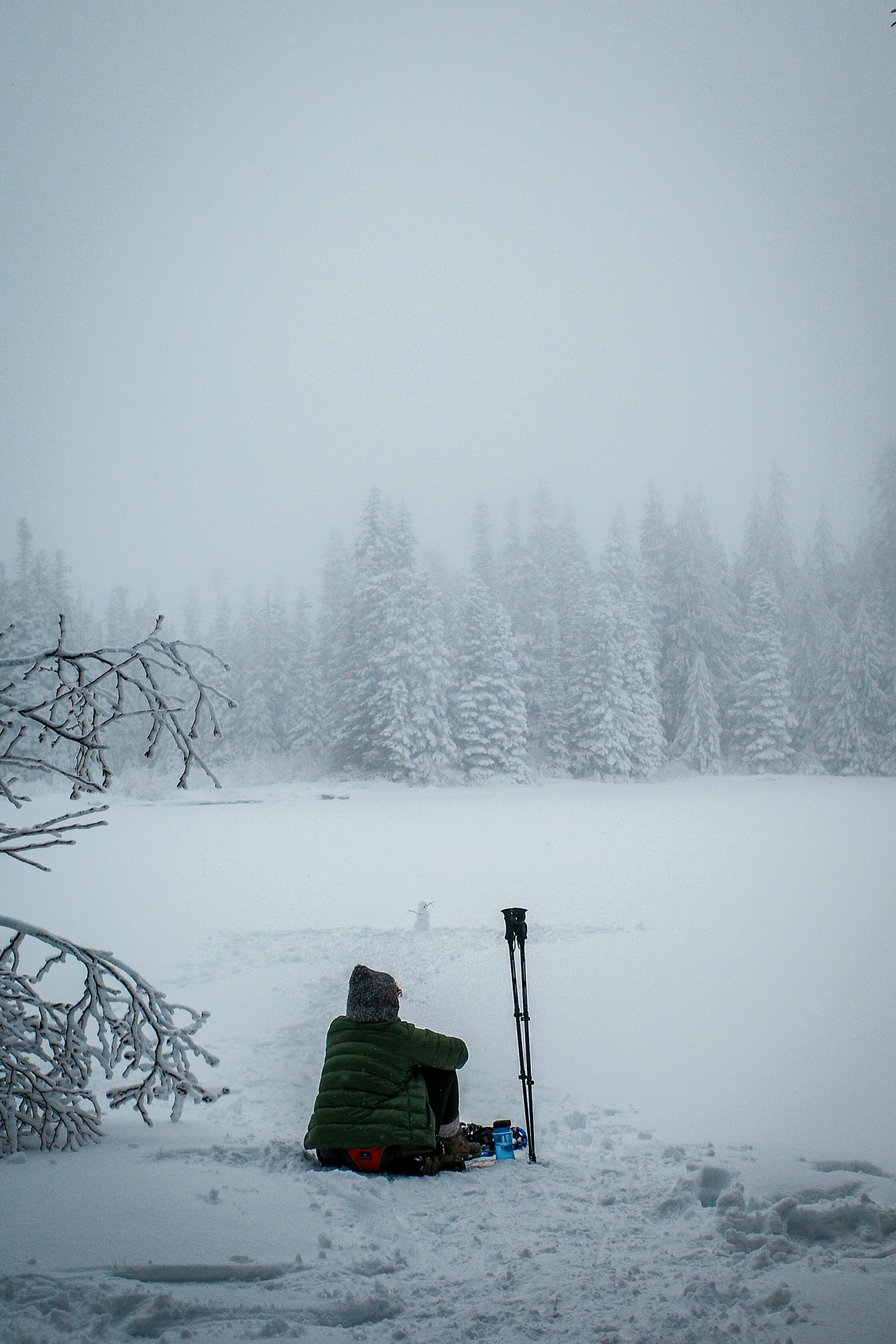 Snowbound Portrait: A Winter Scene of Focused Quiet