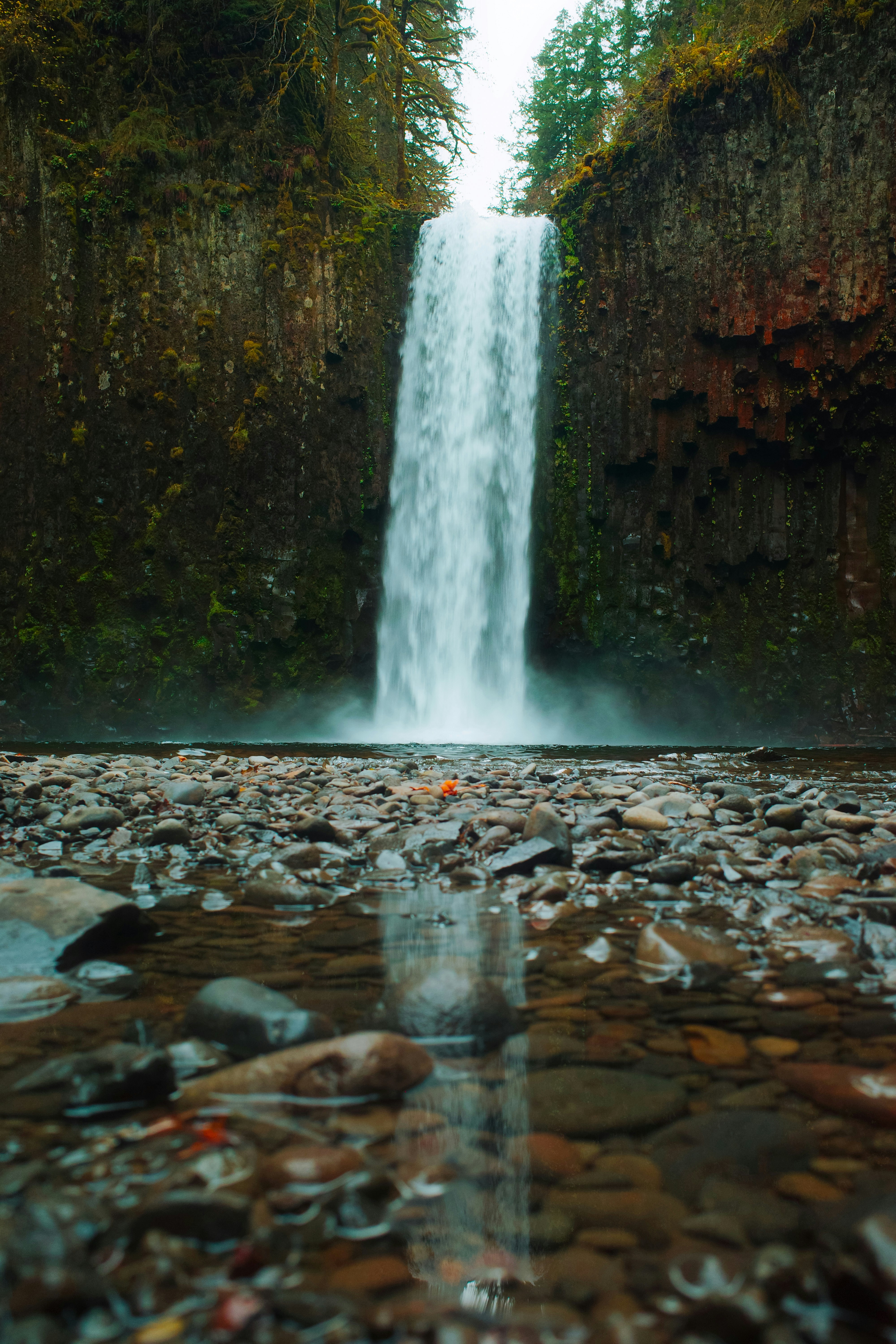Veil of Moss and Mist: Waterfall Portrait in a Rocky Gorge