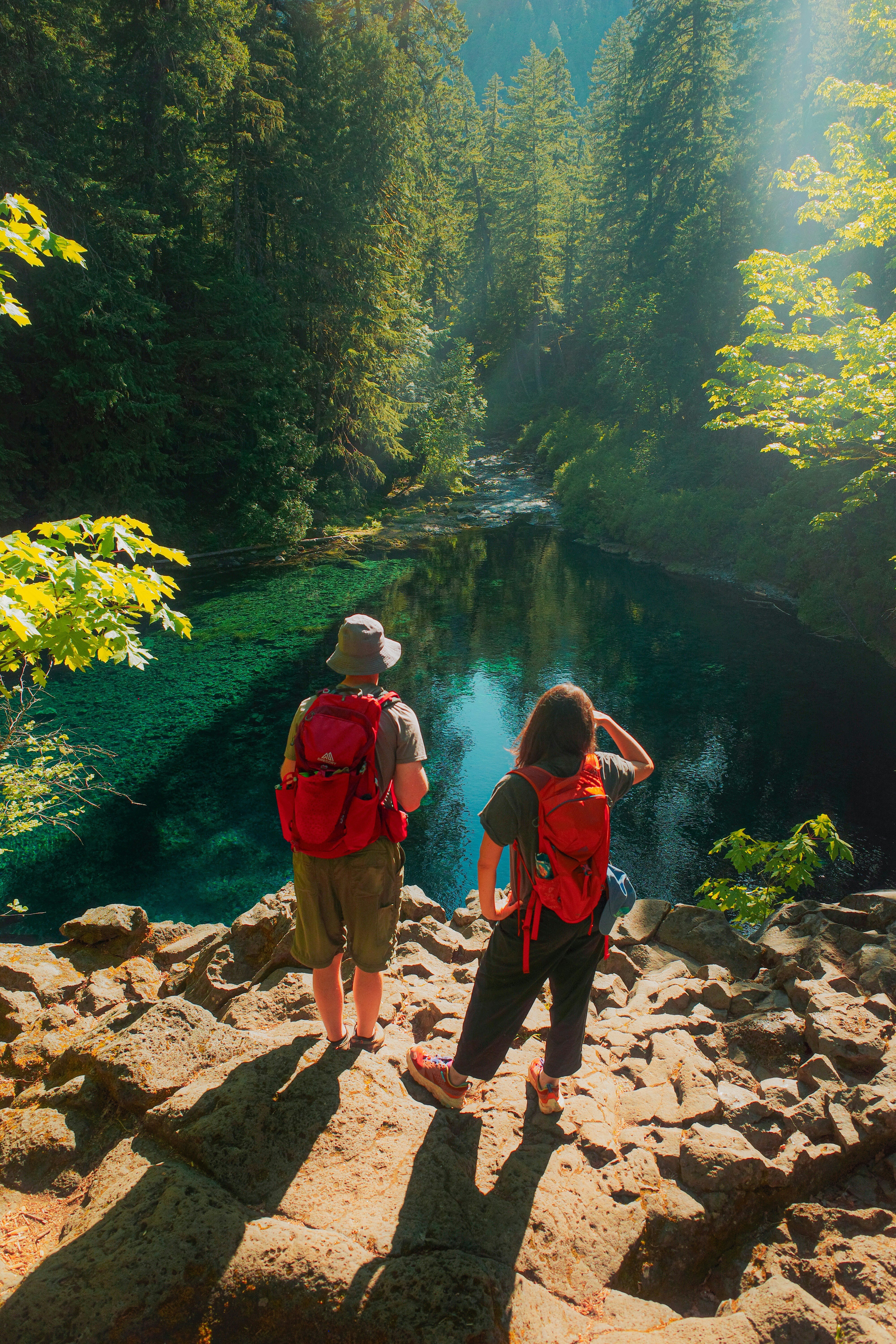 Two hikers overlook a turquoise river through sunlit pines