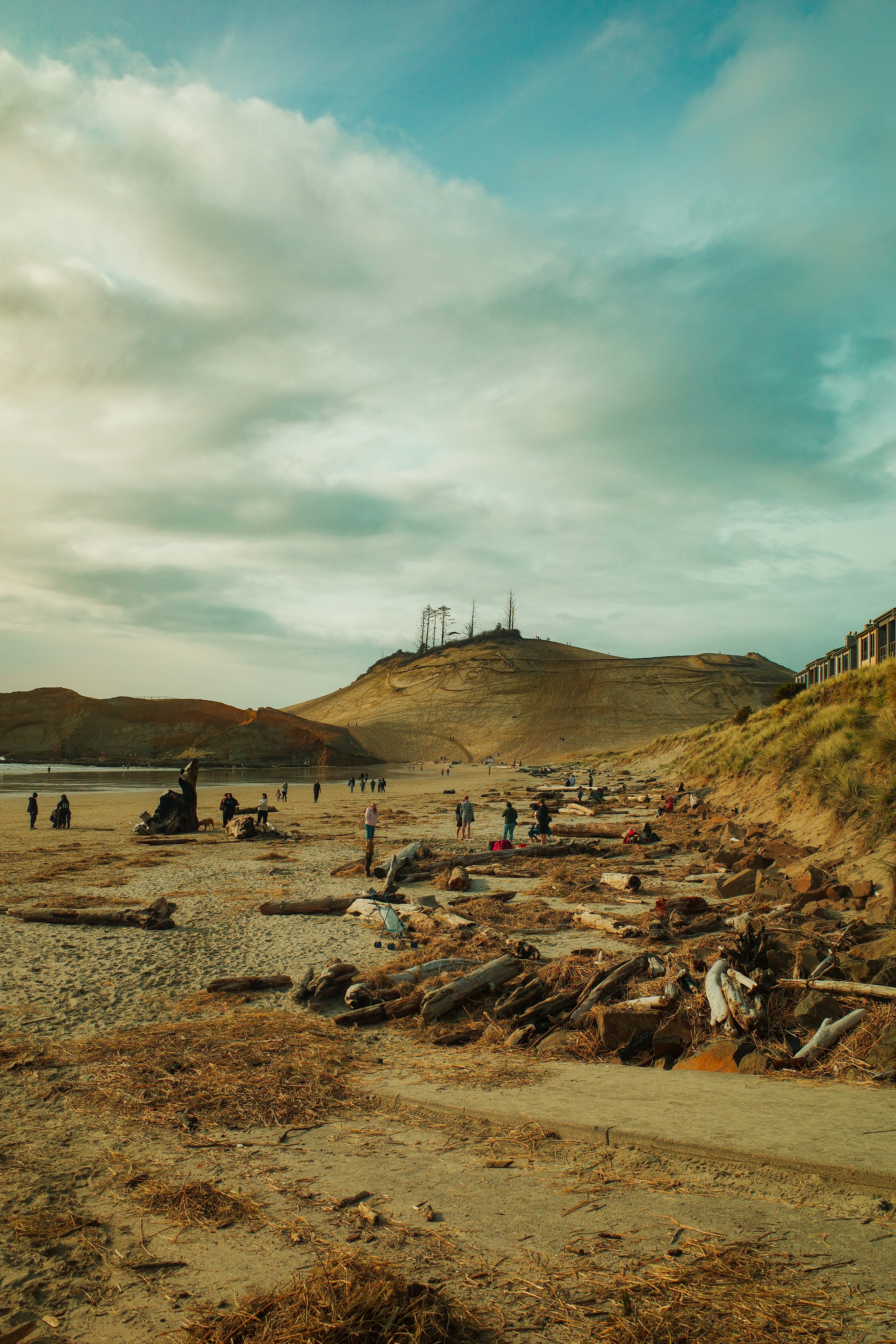 Coastal Panorama with Distant Hill and Driftwood Commons