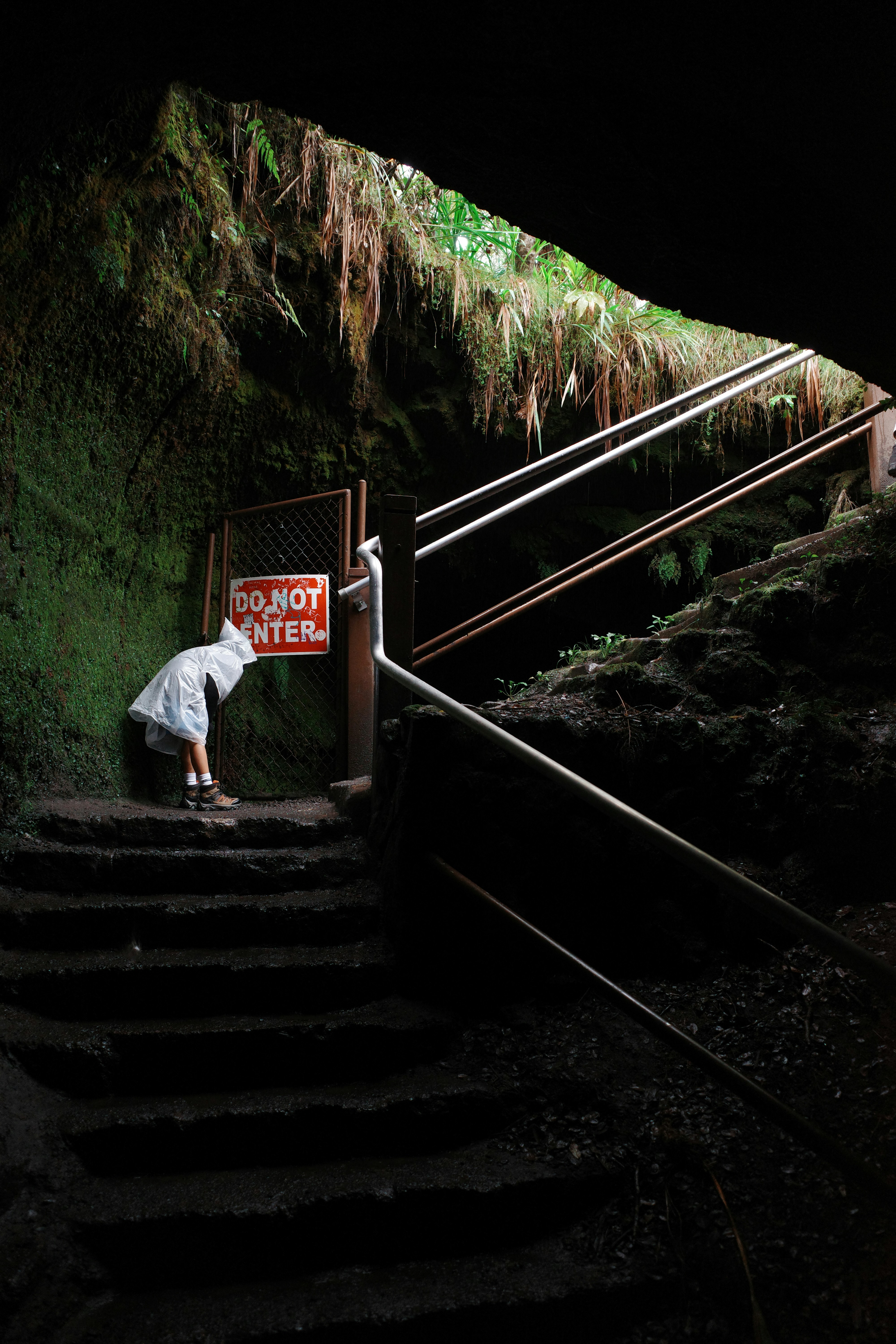 Beyond the Gate: A Hidden Staircase Beneath Green Veil