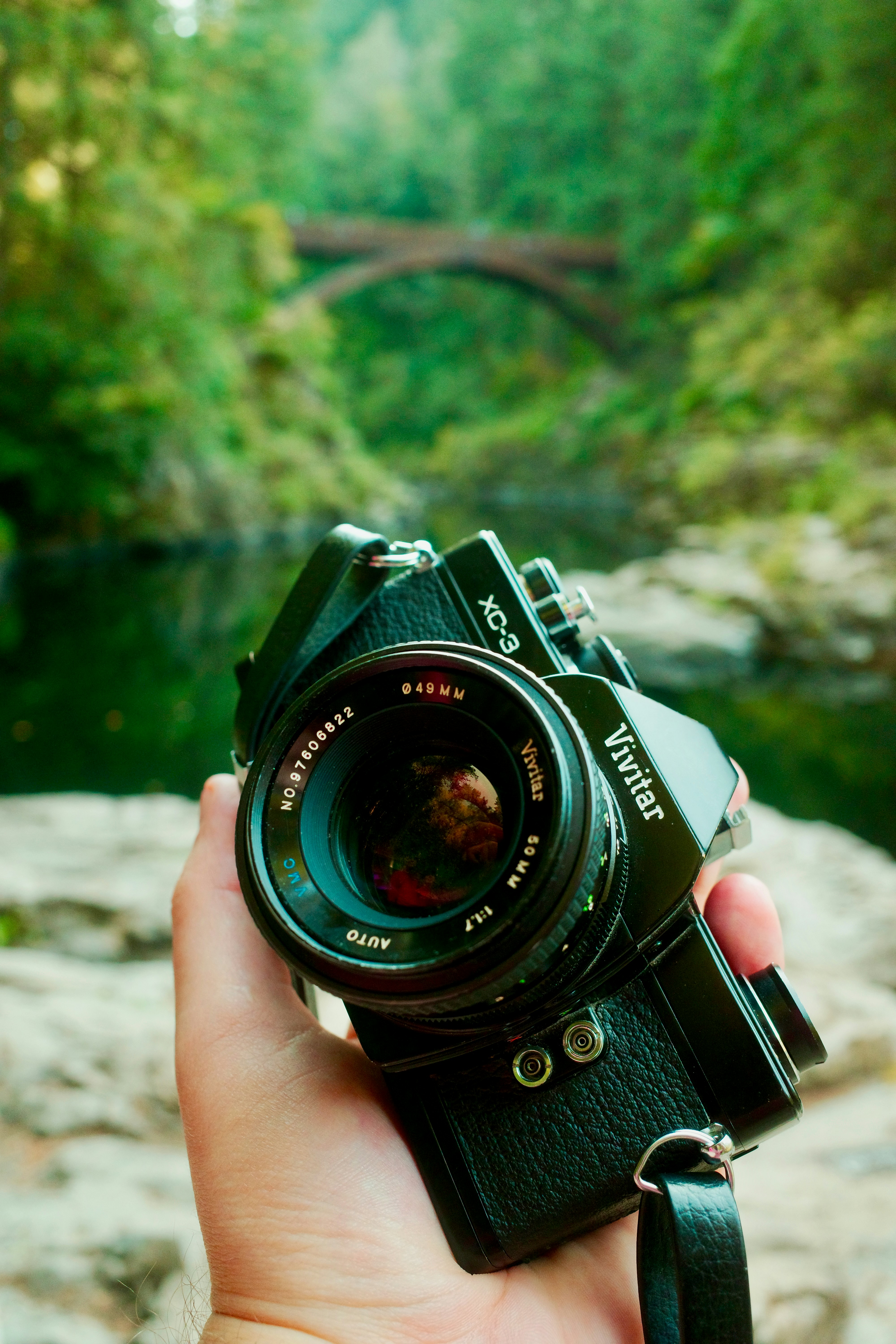Handheld Time Capsule: A Vivitar 35mm Gripped by Nature