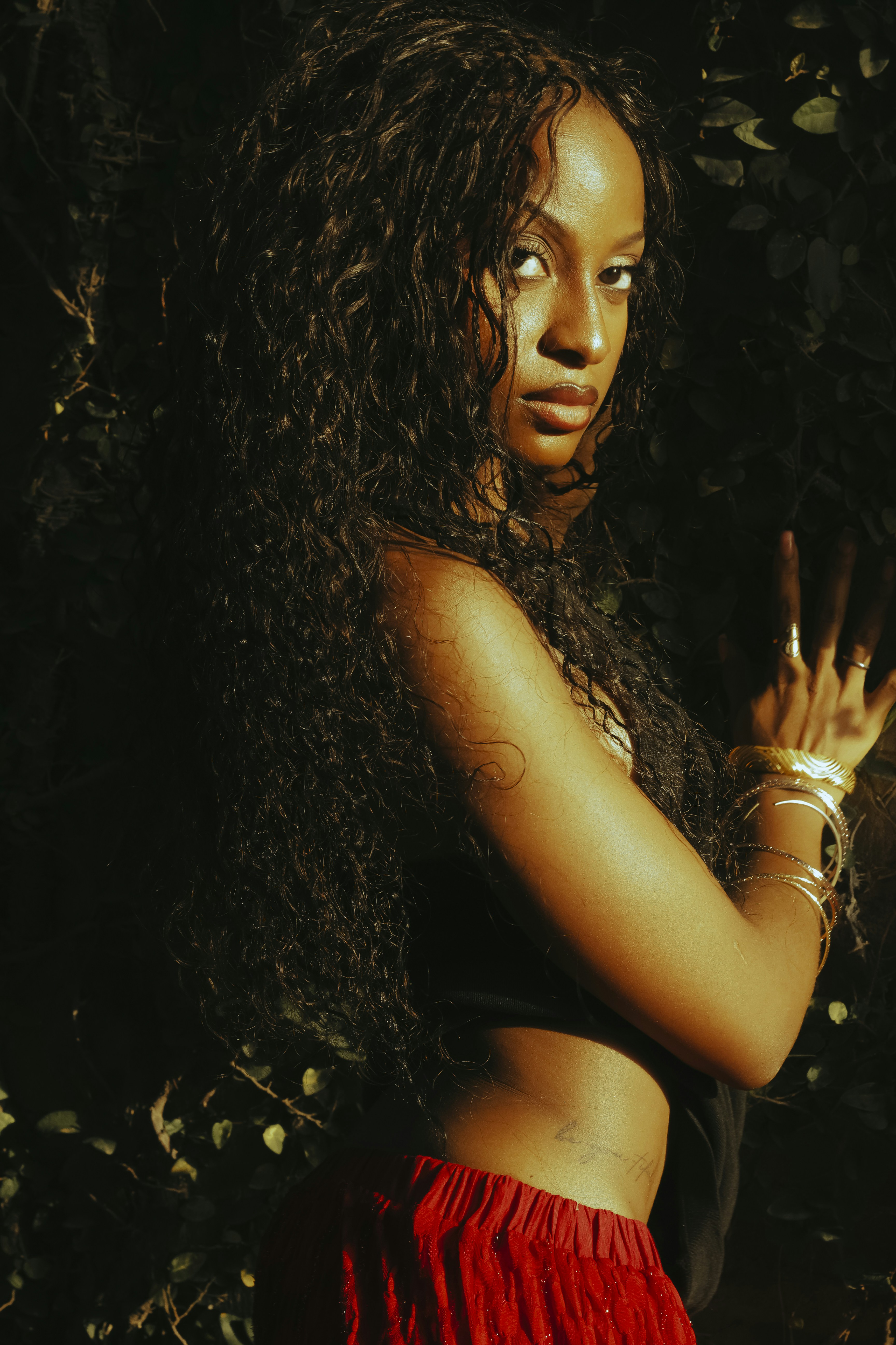 Sunlit Velvet: A Portrait of Quiet Confidence