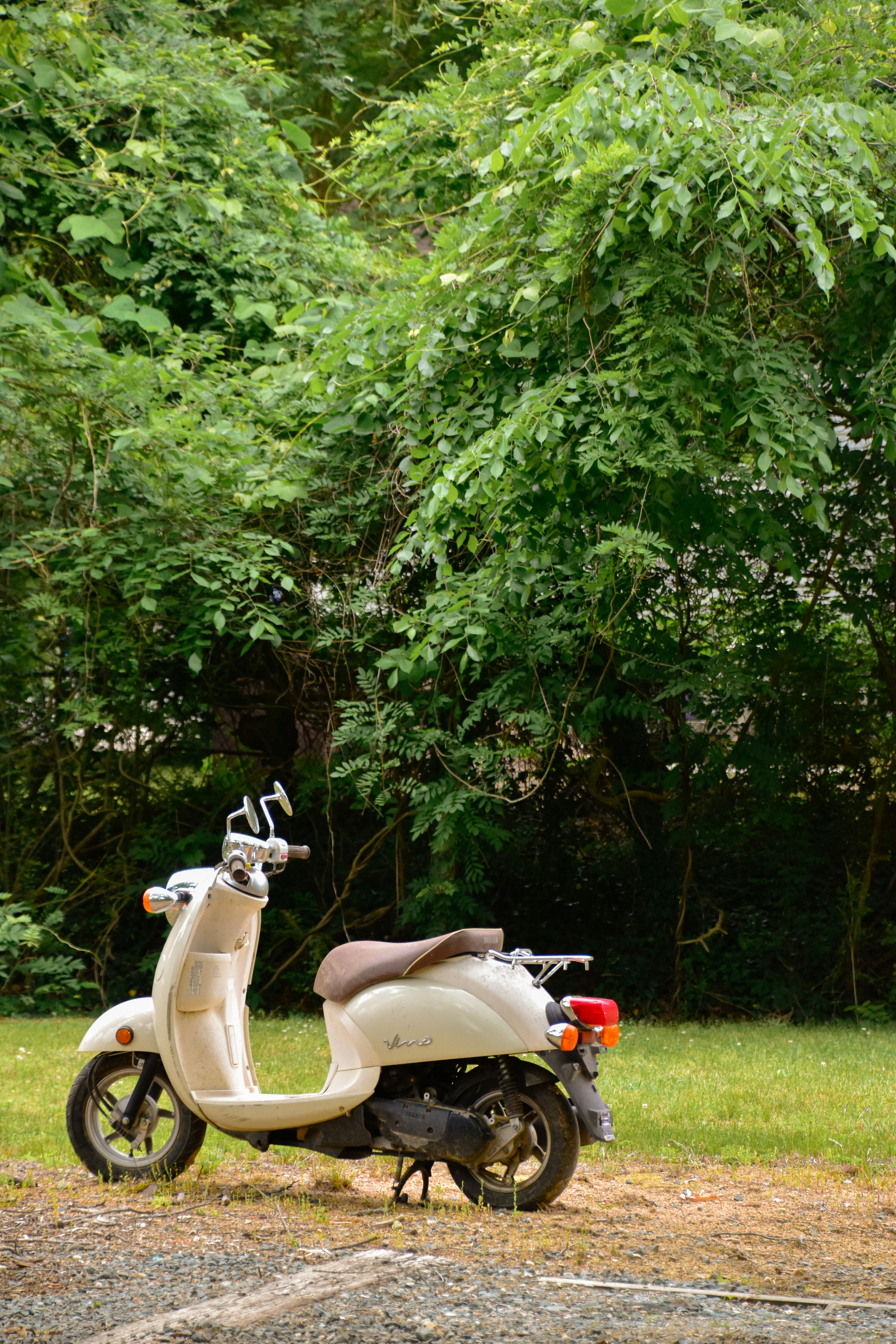 Pastel Vespa in a Quiet Green Clearing