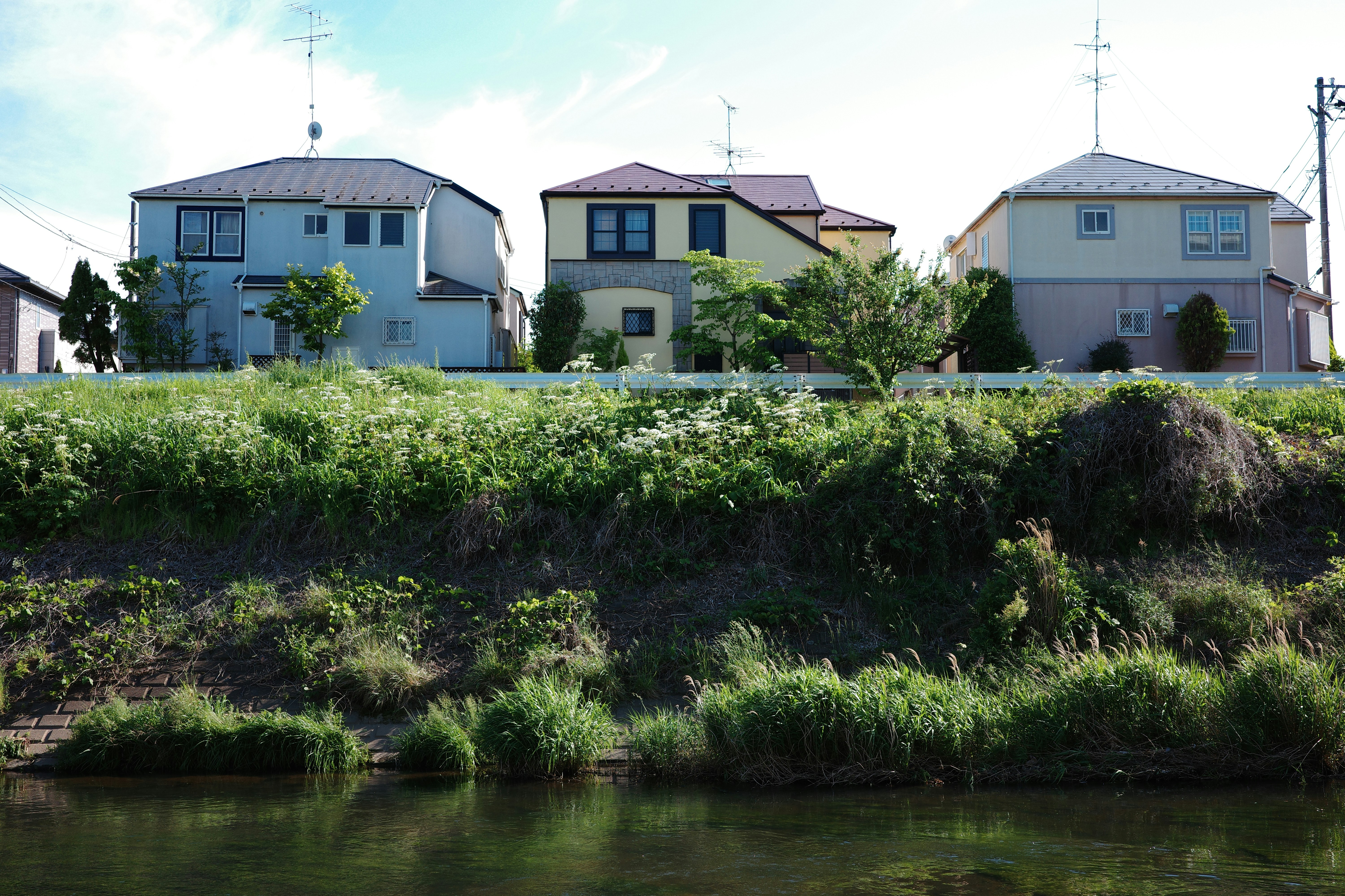 Row of pastel houses by a riverbank
