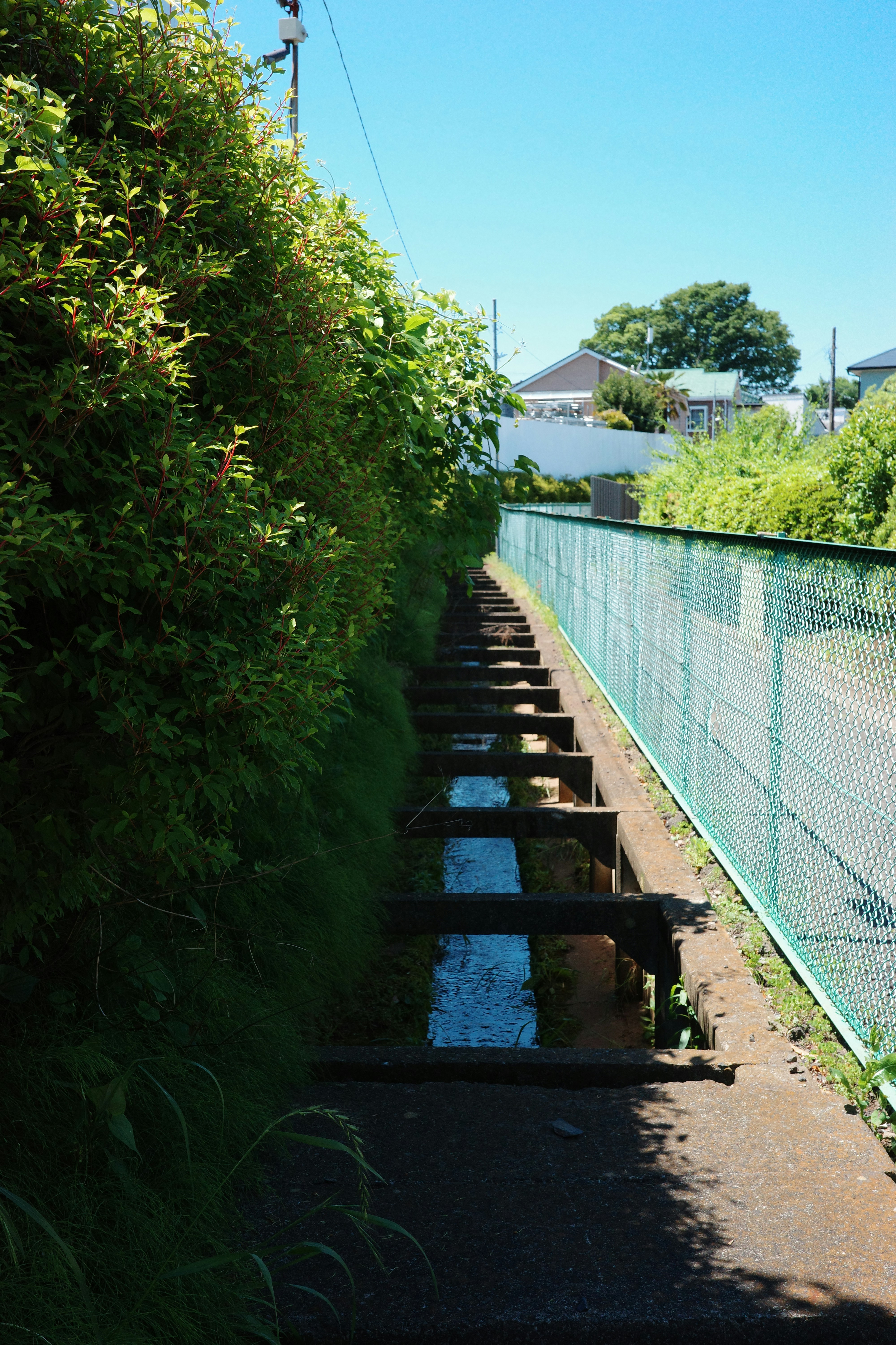 Railway Trough: A Quiet Path Between Green Walls