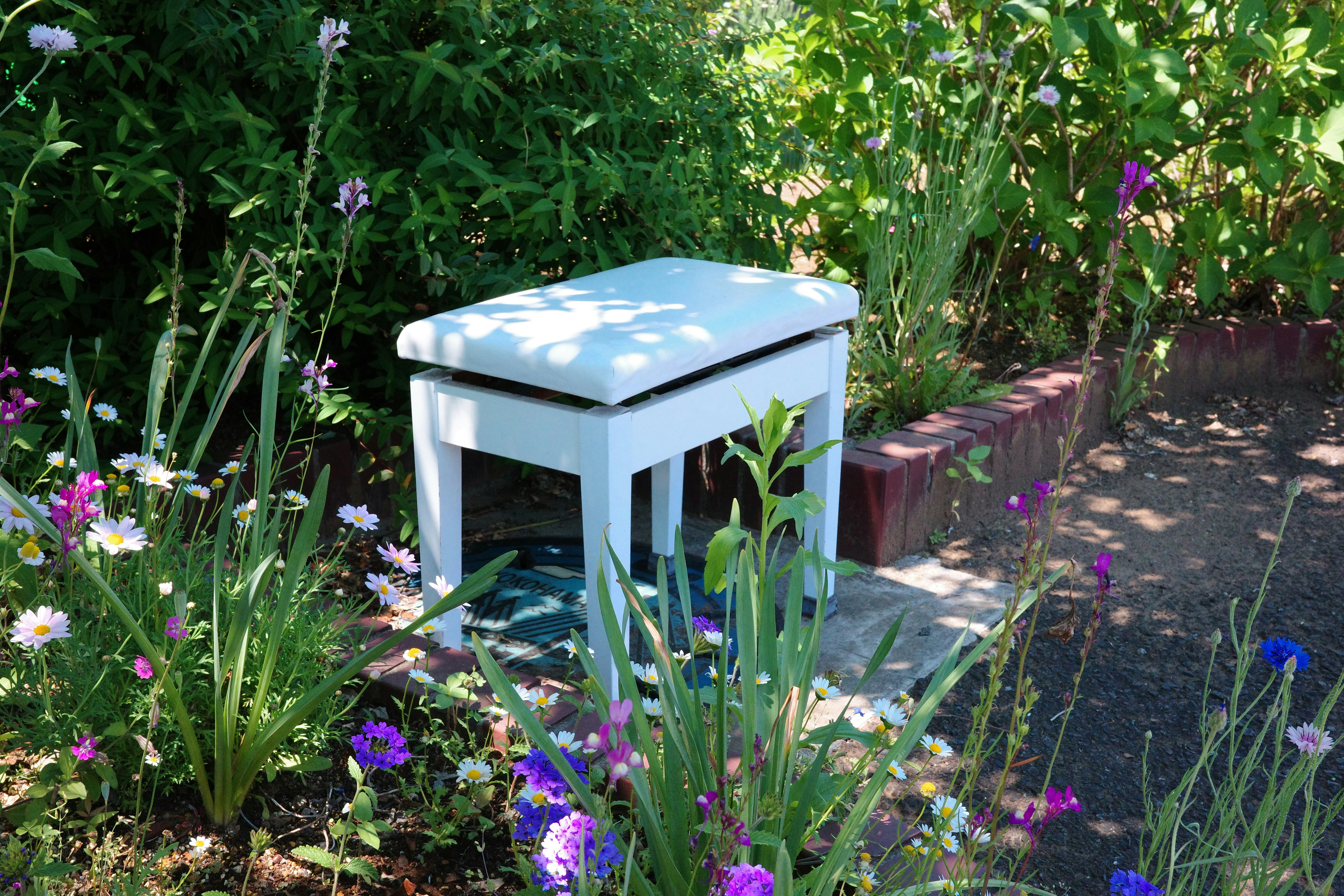 Quiet Garden Throne: A White Stool Amid Lavender and Sunlit Leaves
