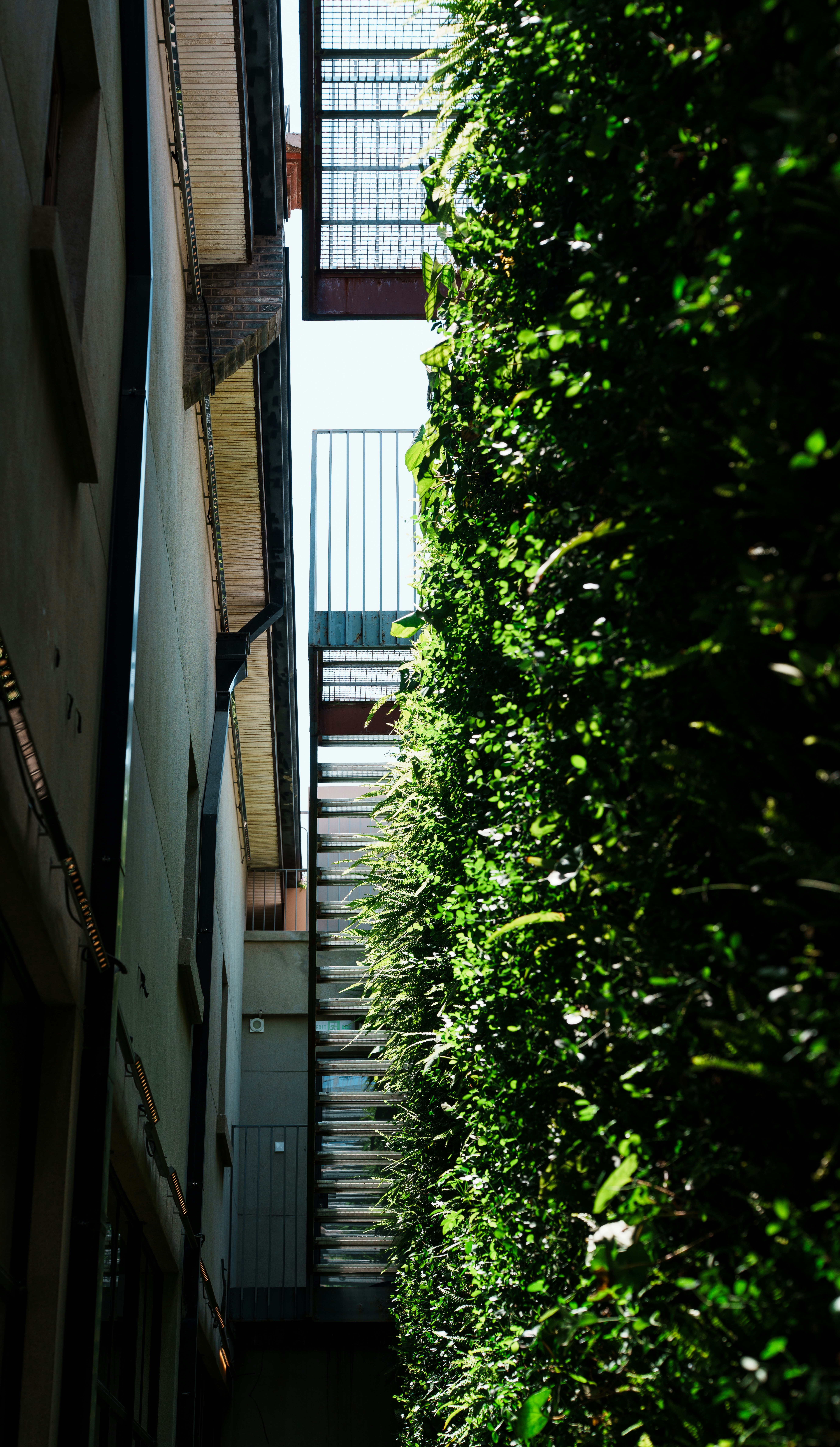 Urban Vertical Garden Between Buildings