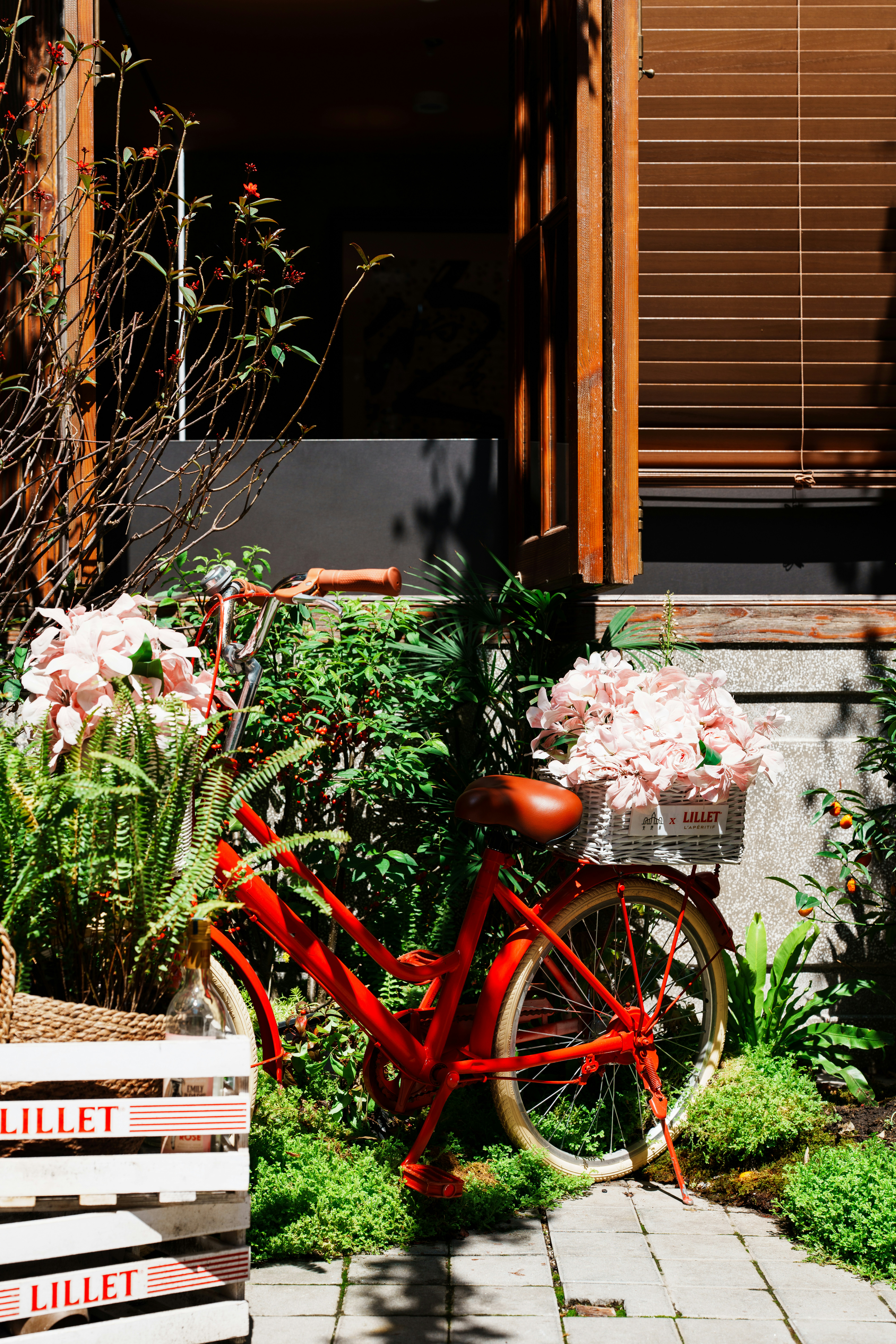 Red Bicycle in Bloom: A Quiet Urban Courtyard